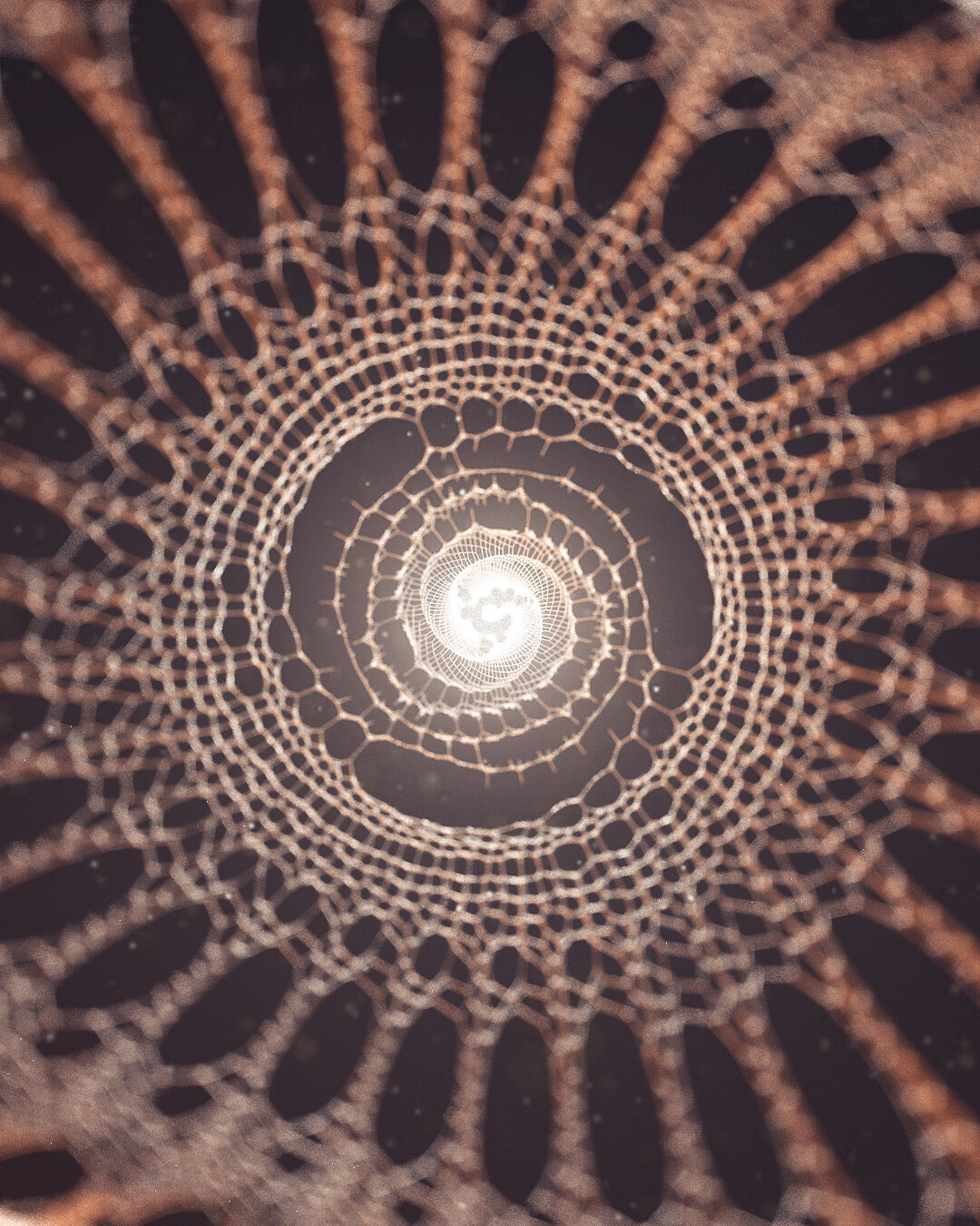 ArtStation - Patterns of nature