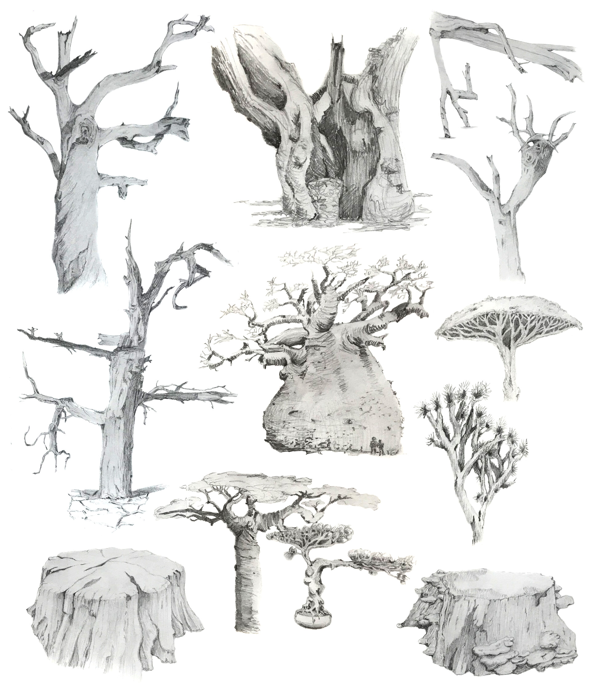 ArtStation - Sketchbook Trees