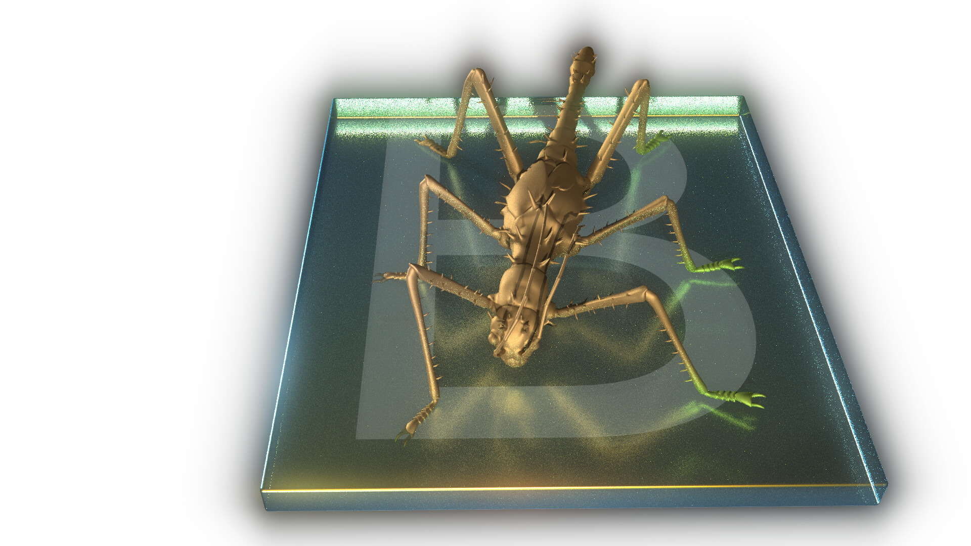 Stout Fella - B 2020