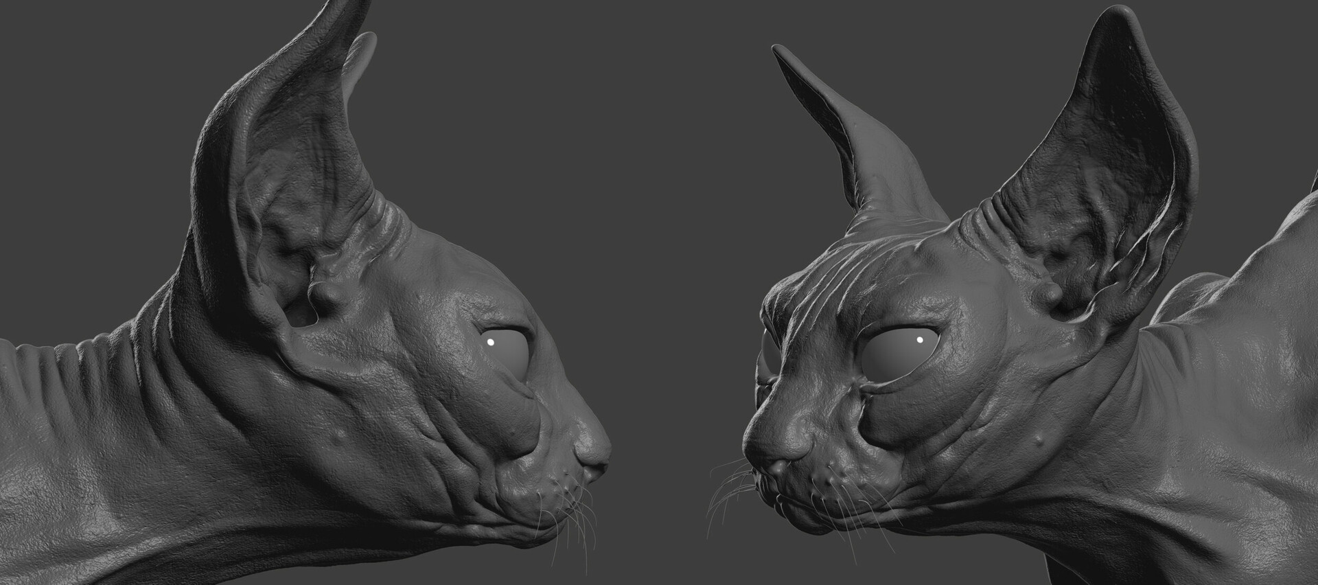ArtStation - Sphynx