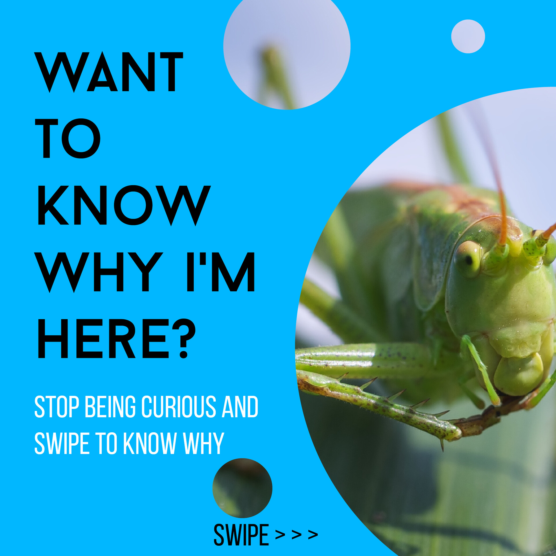 ArtStation - CONTINUOUS POSTER | PROFESSIONAL PROJECT | M&F