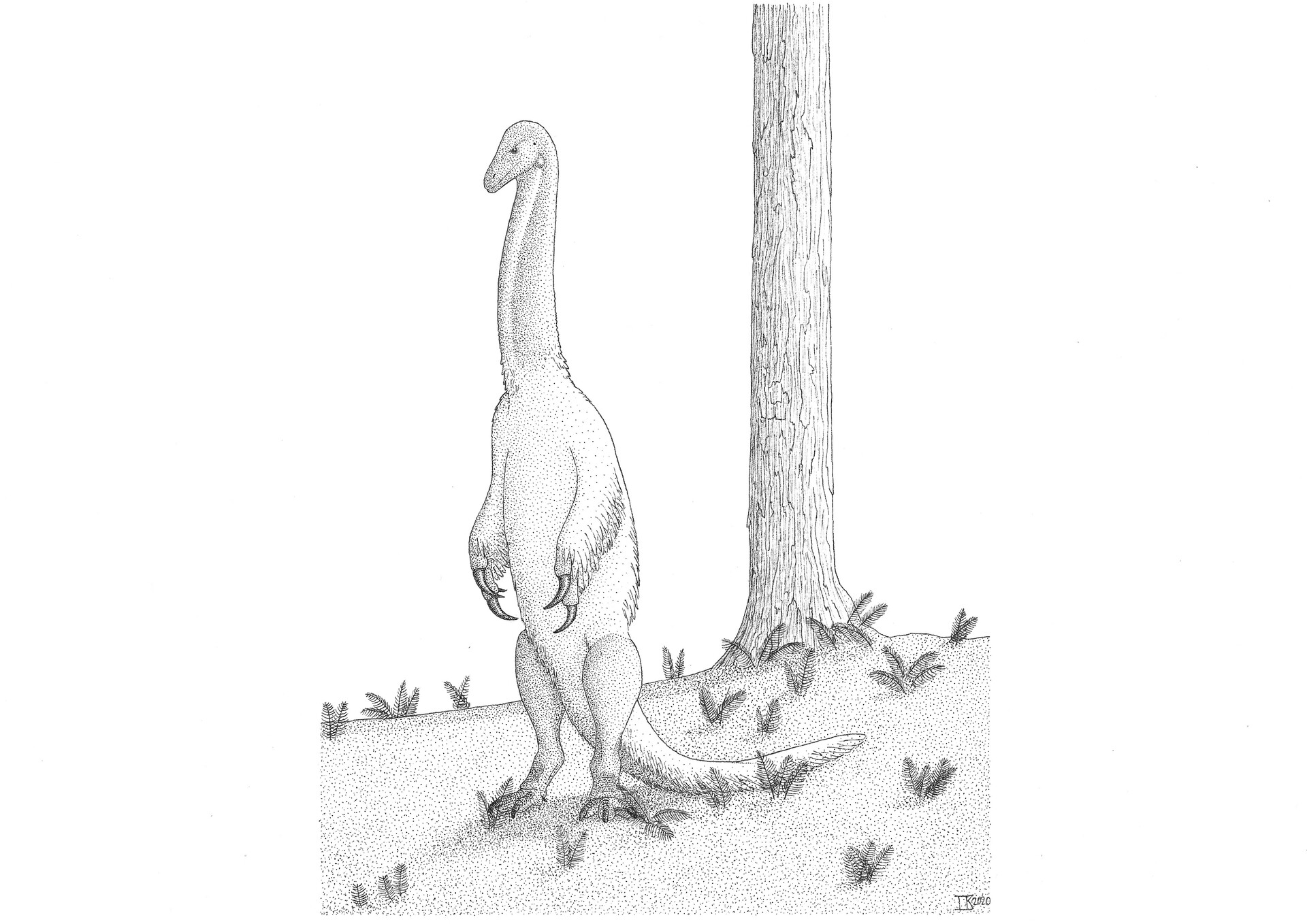 ArtStation - Falcarius