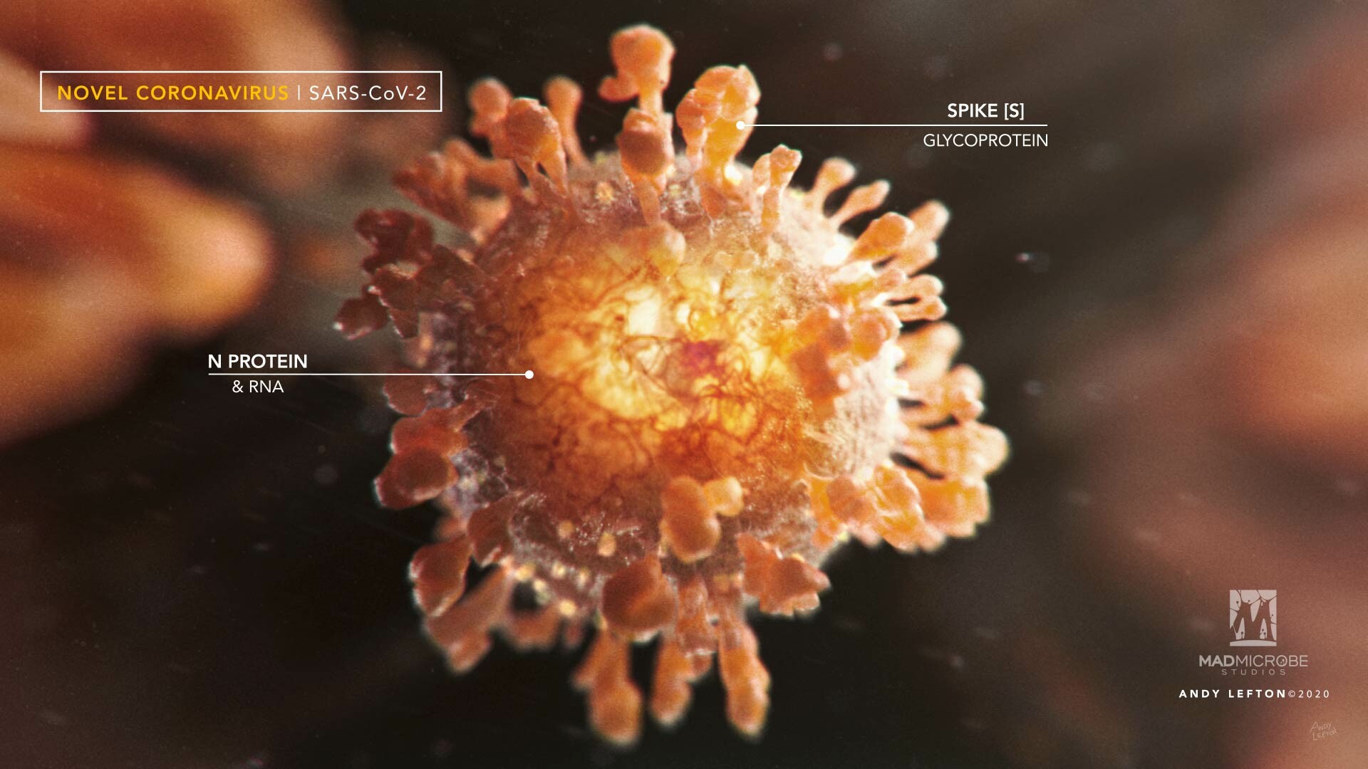 ArtStation - SARS-CoV-2 (Coronavirus stylized)