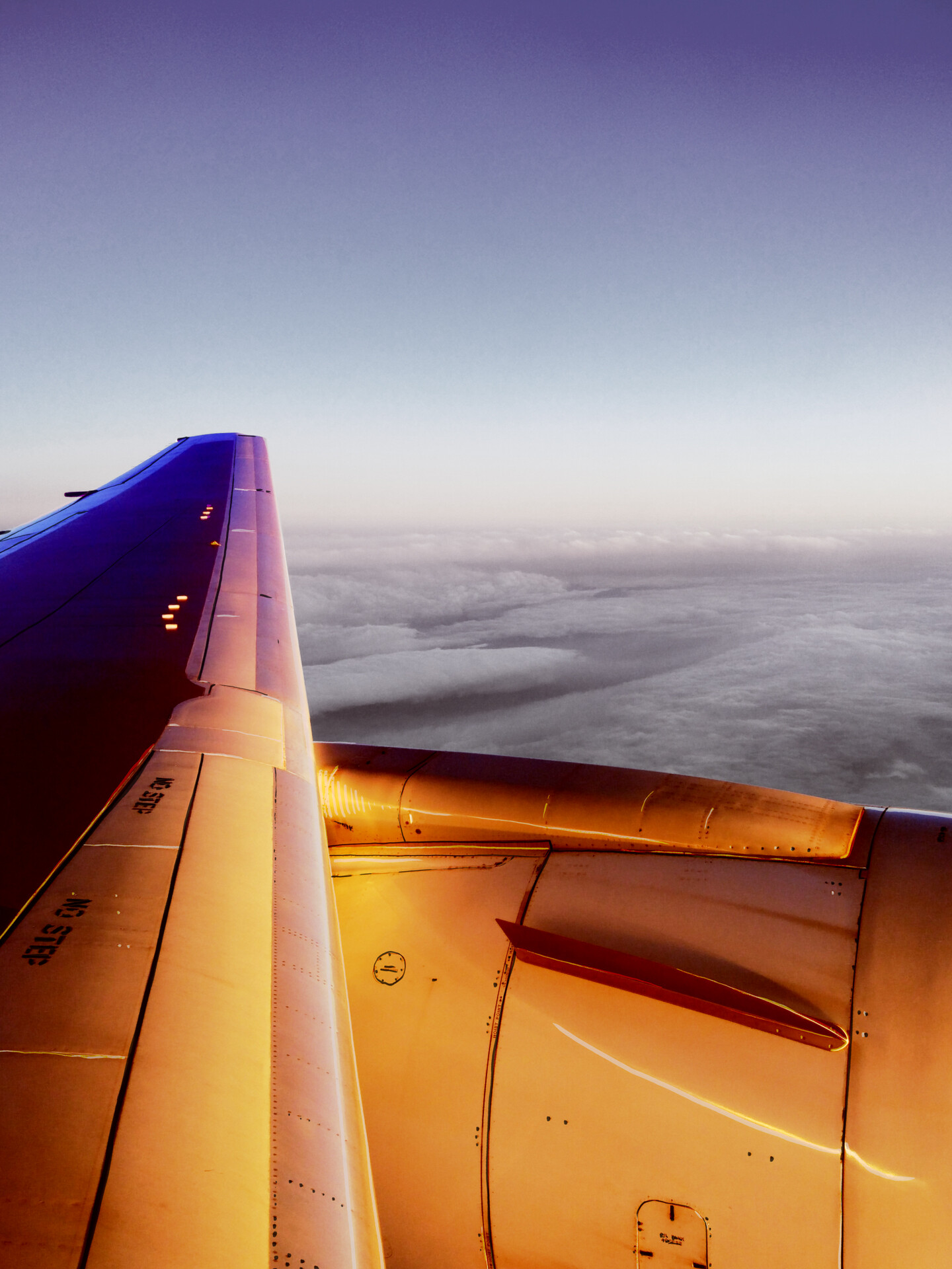 ArtStation - farewell flight