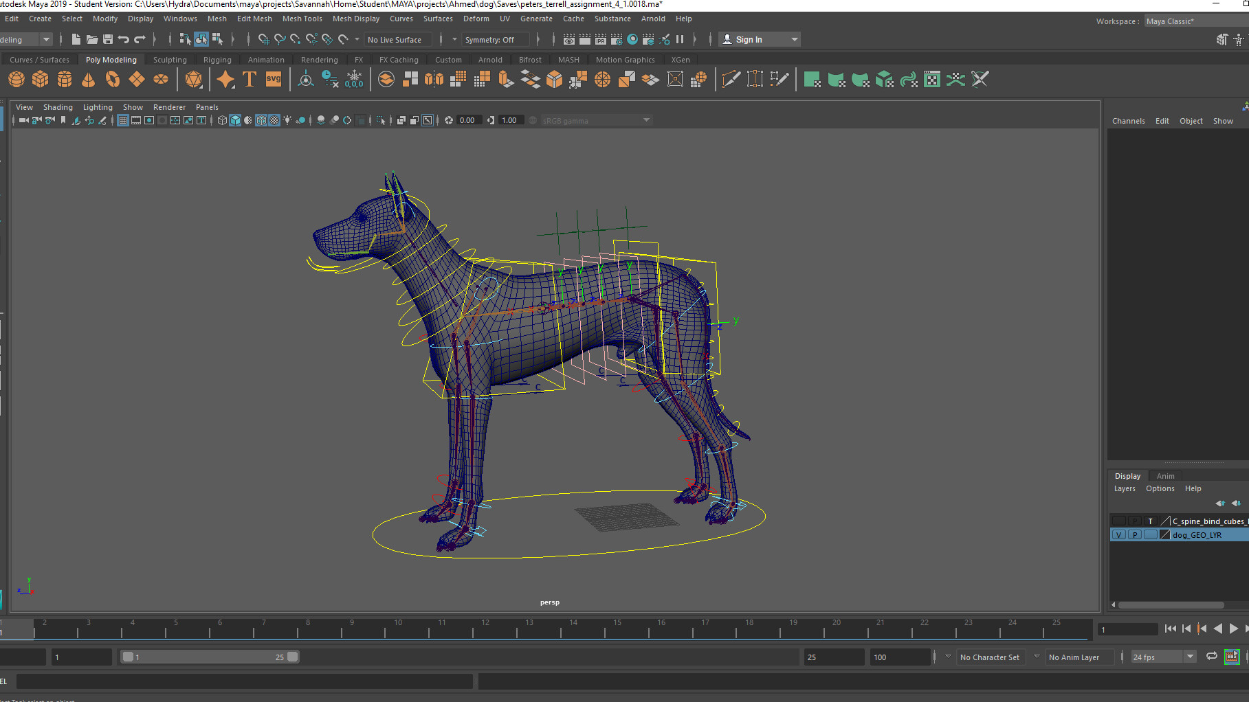 ArtStation - Dog Rig