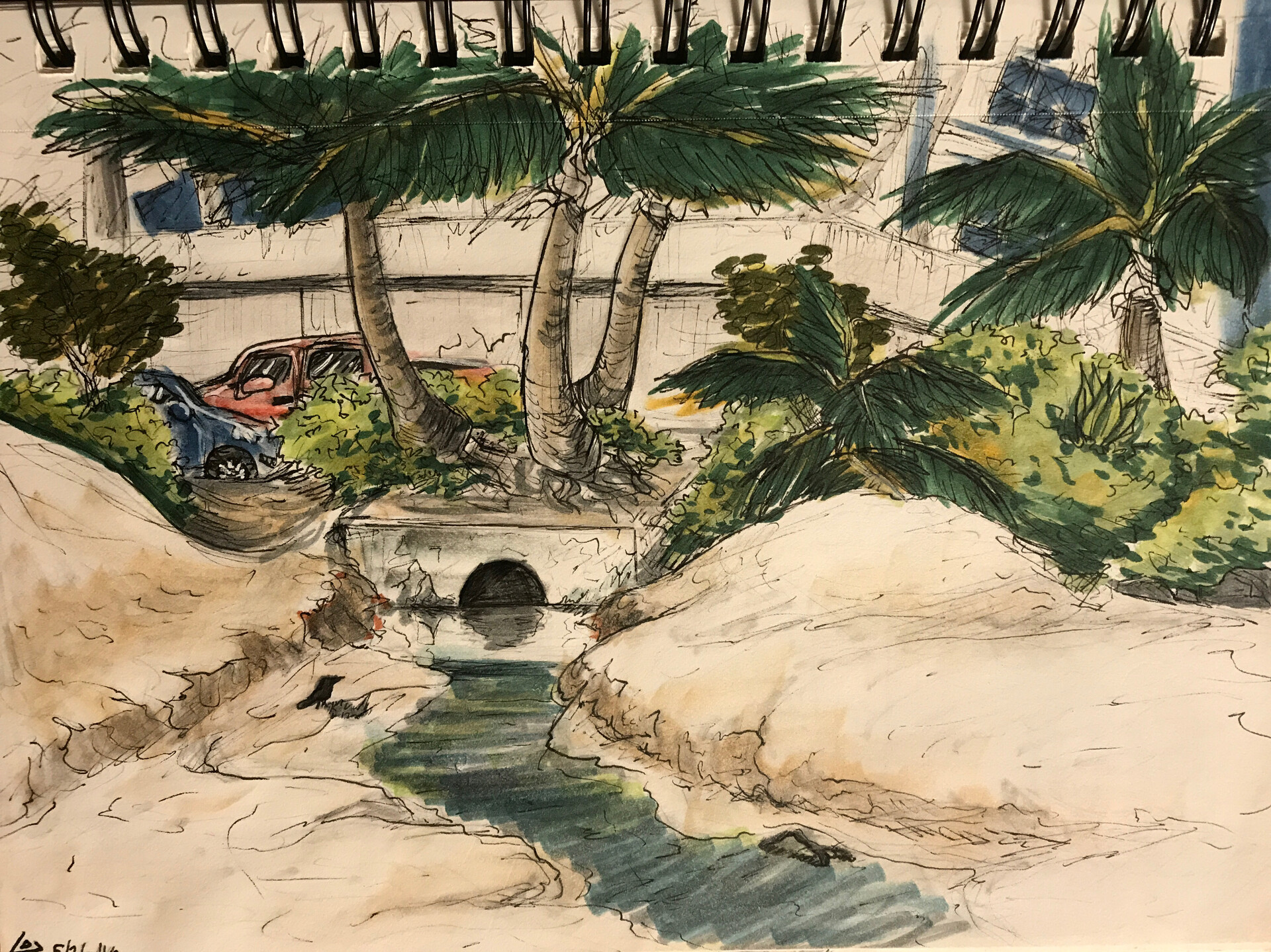 ArtStation - Puerto Rico Beach Sketch