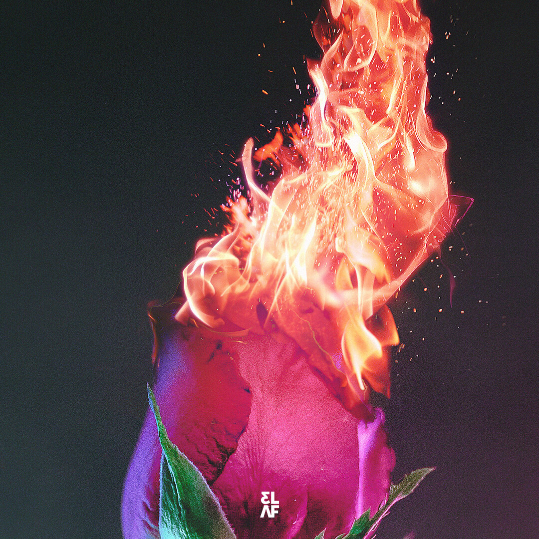 ArtStation - FLAME ROSE