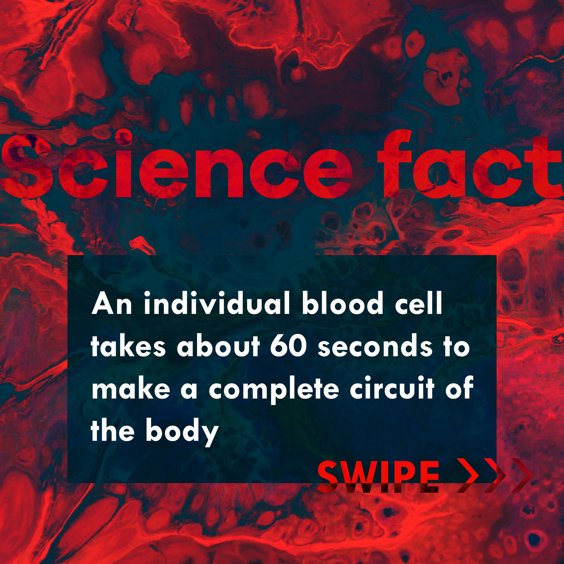 ArtStation - CONTINUOUS POSTER | PROFESSIONAL PROJECT | M&f