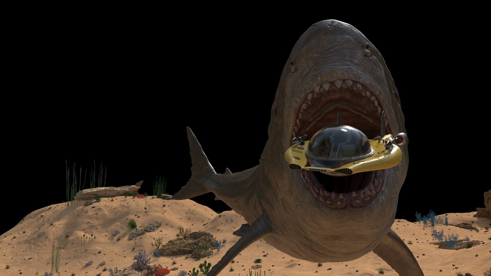 Hussein Rasekh - the MEG