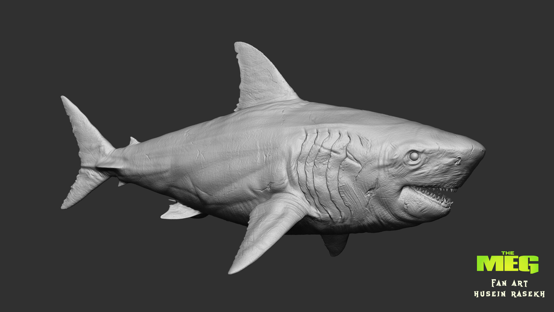 Hussein Rasekh - the MEG