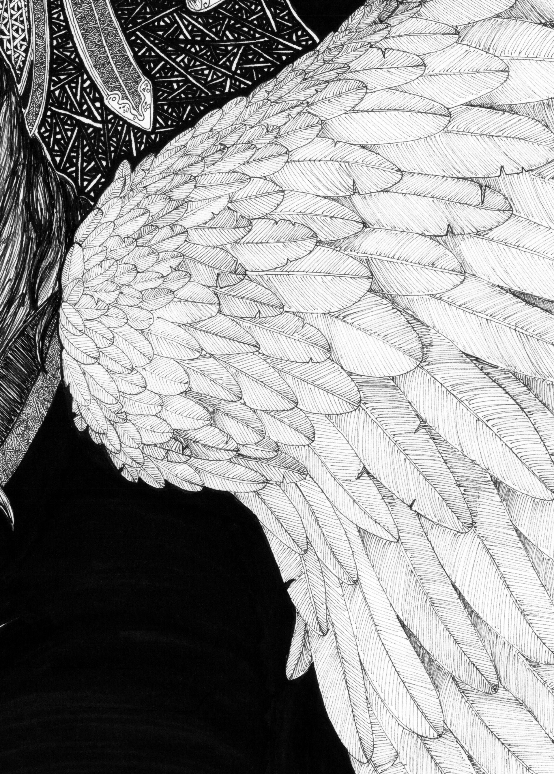 Rachel Bales - Wizard on a Pegasus