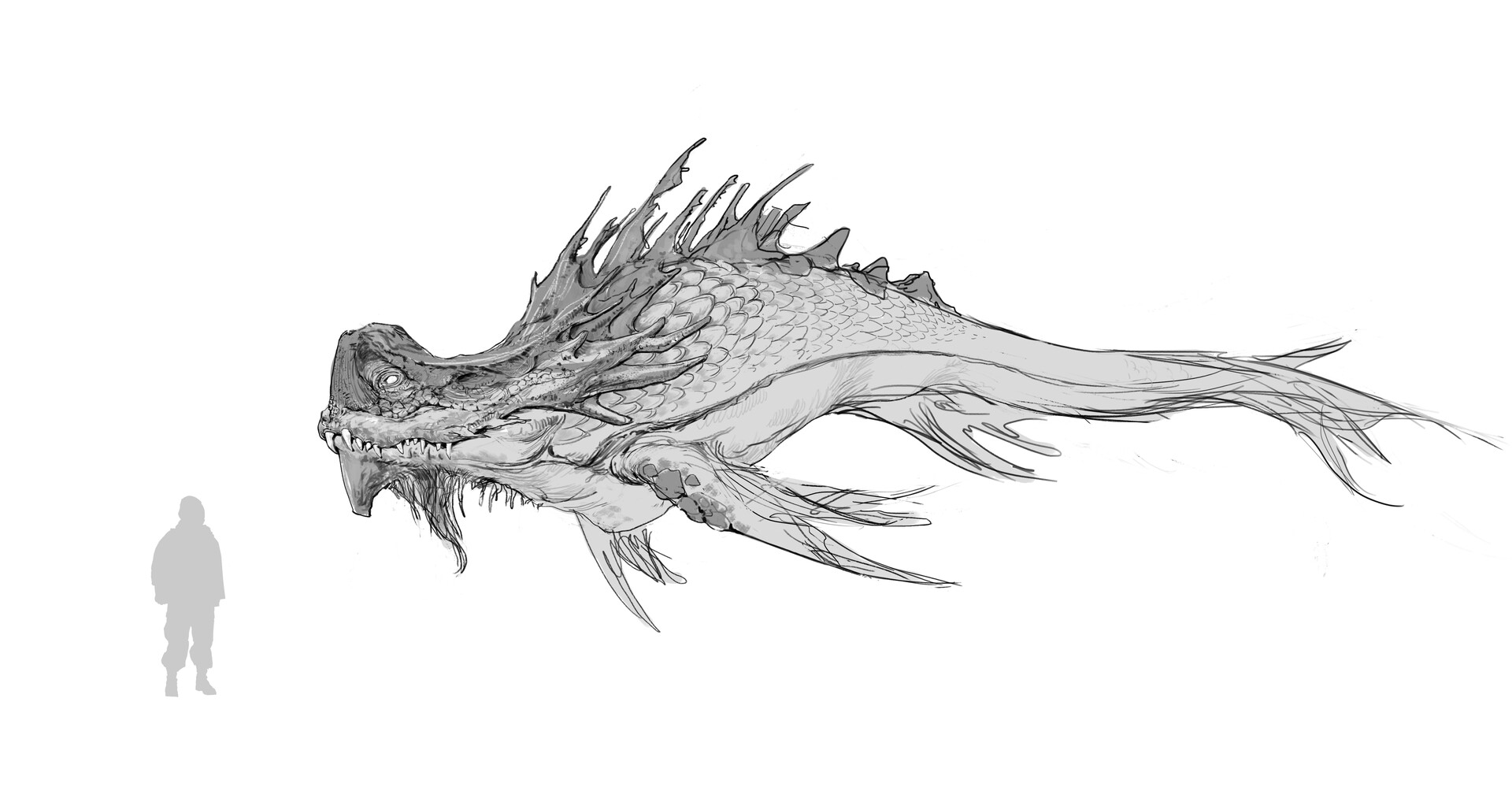 qiushi-zhang-1.jpg (1920×1018)-花瓣网