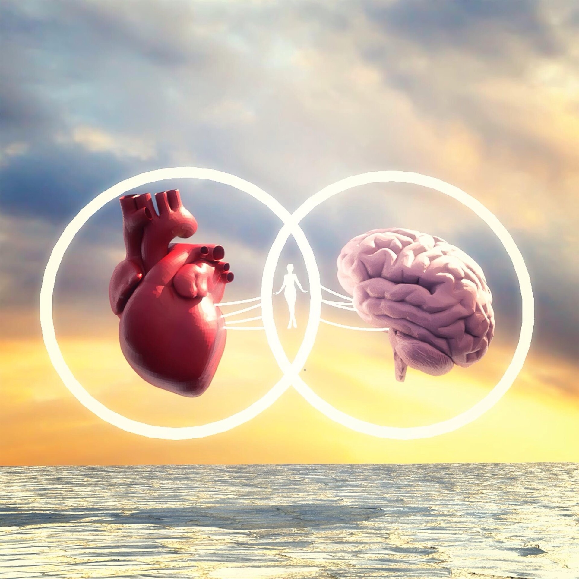 ArtStation - The heart and mind became compatible