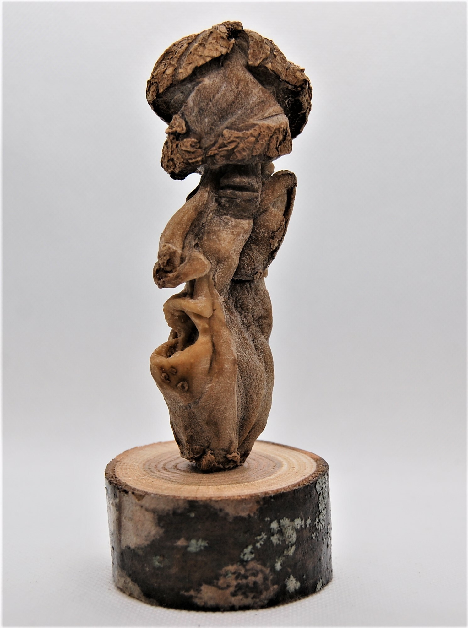 Gary Frederick - Art Core and the potato men