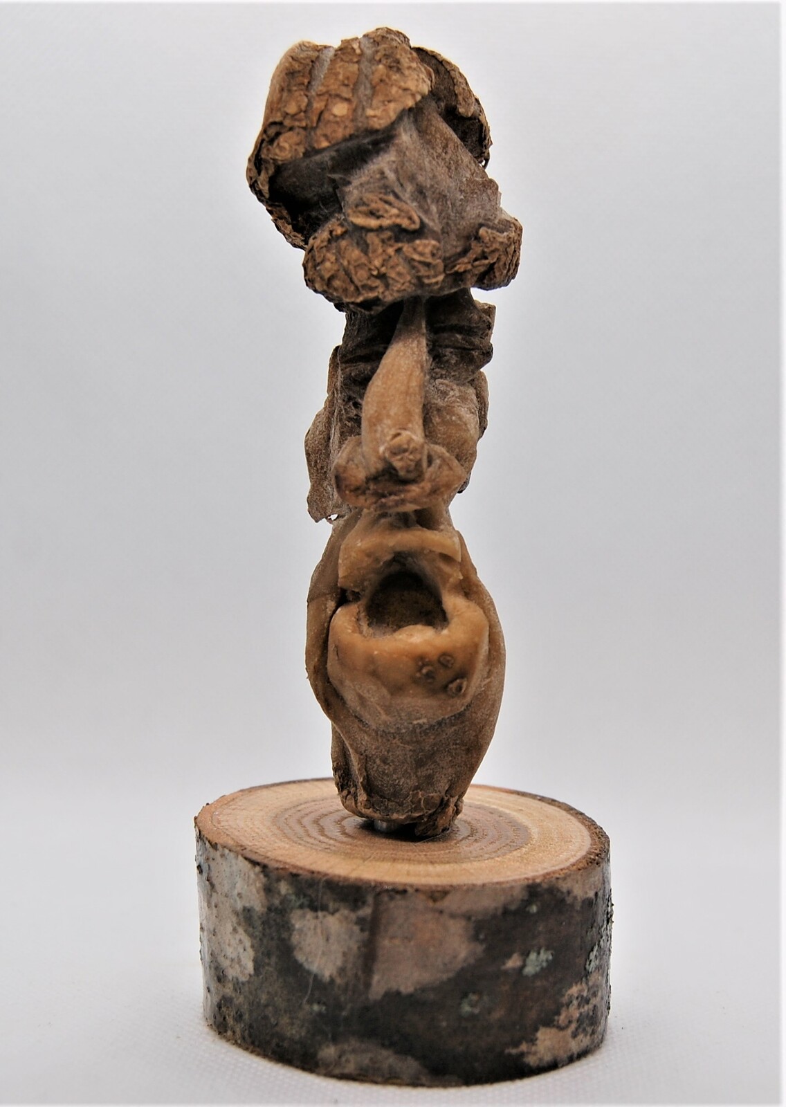 Gary Frederick - Art Core and the potato men