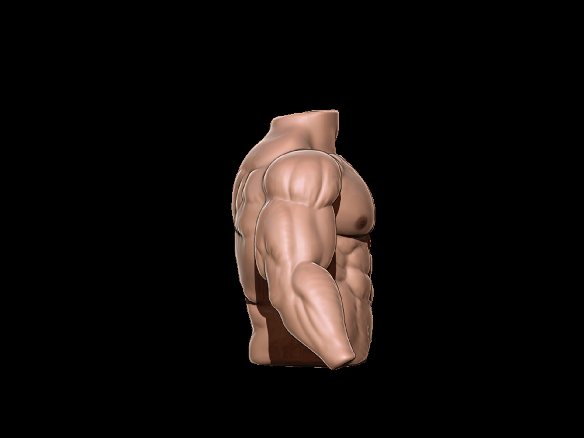 Anubhav Sharma - Human Upper Torso