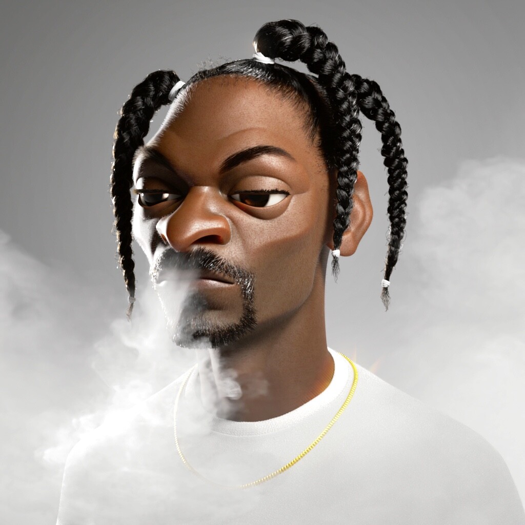 Snoop Dogg Braids