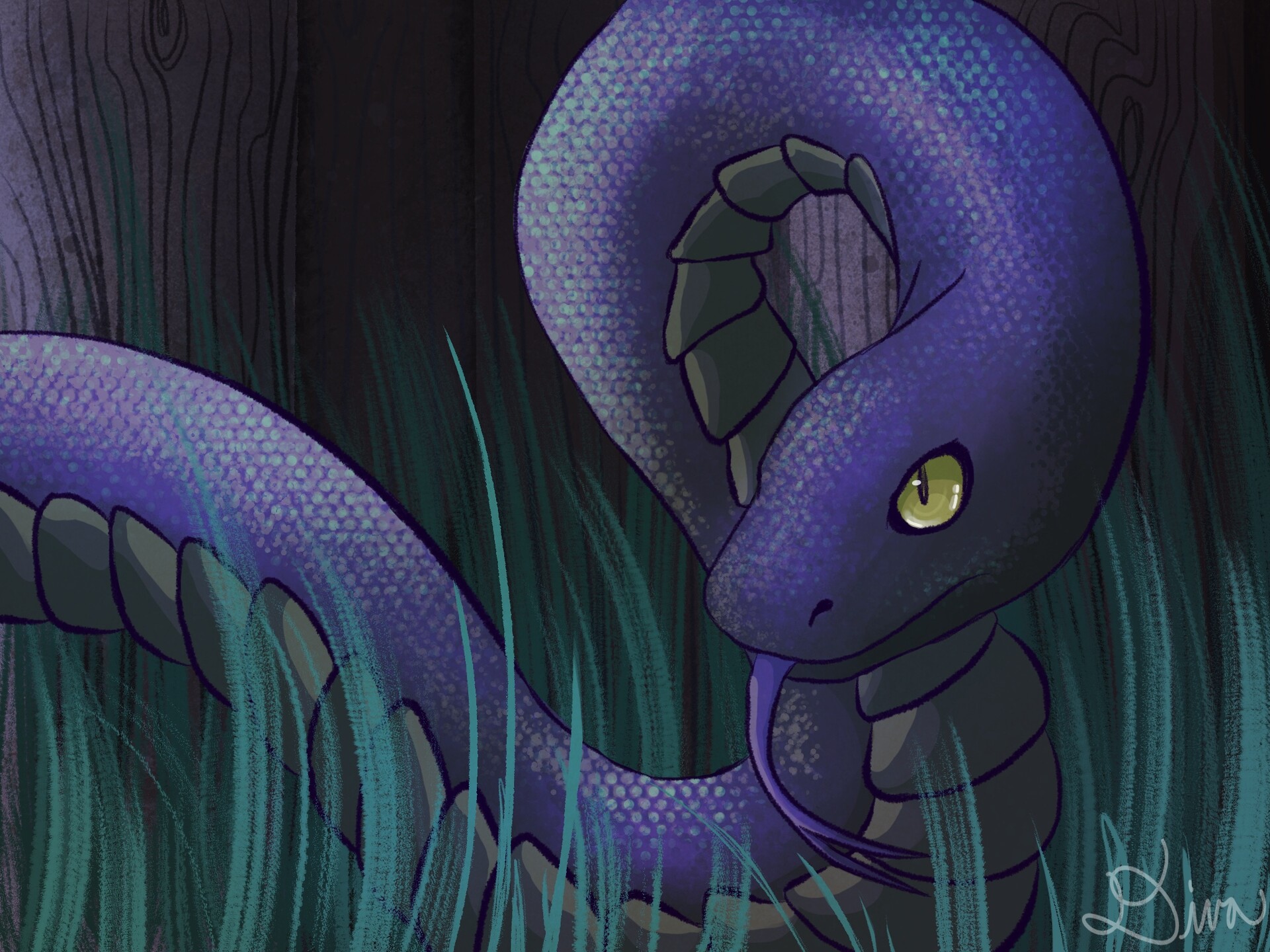 Diva Colter - “Snake in the grass”