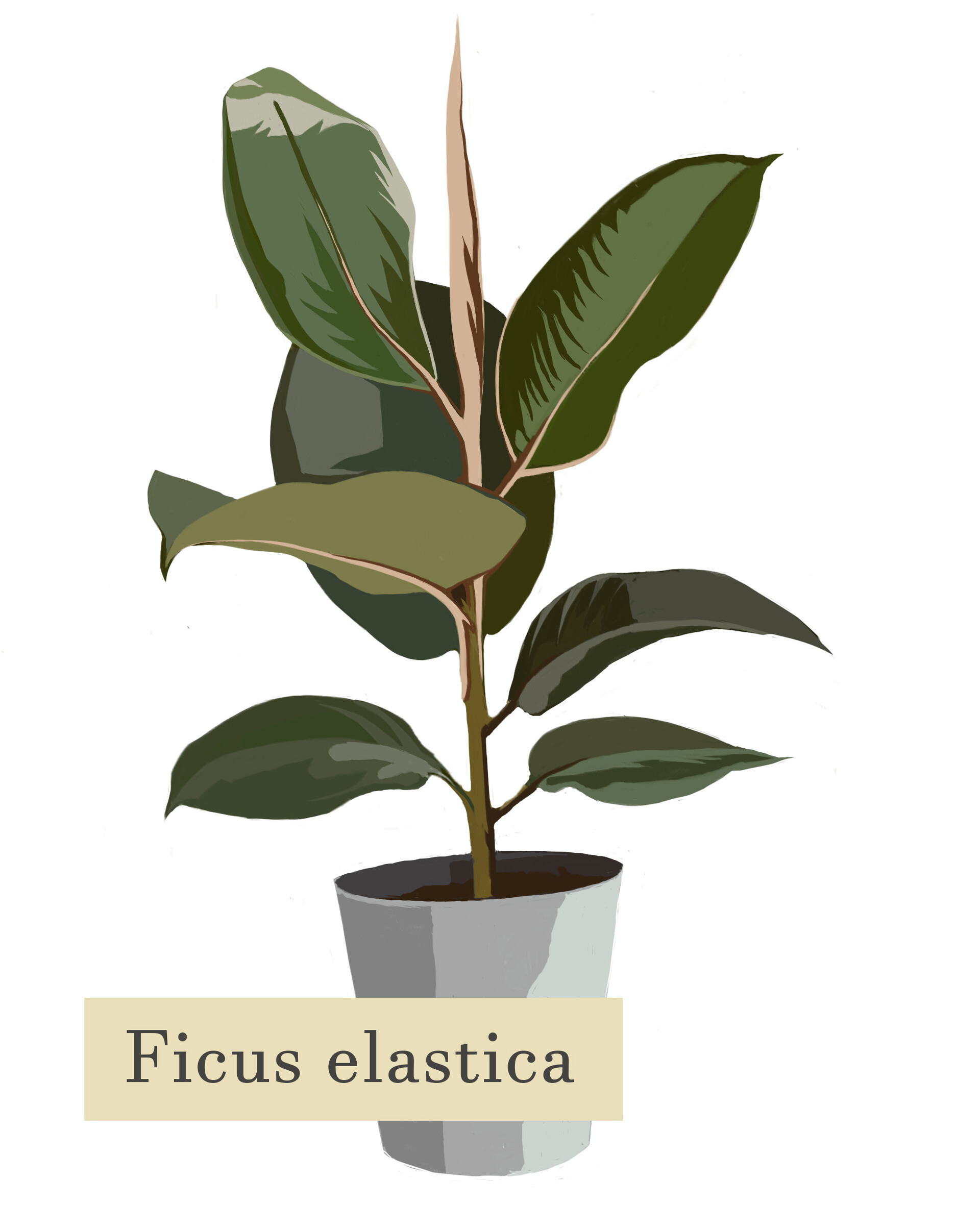 ArtStation - FICUS