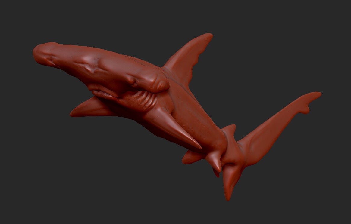 ArtStation - Hammerhead 3D Model