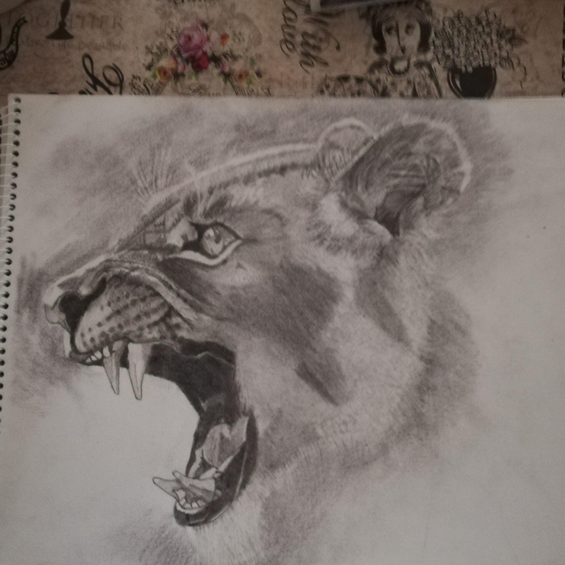 ArtStation - Angry Lioness