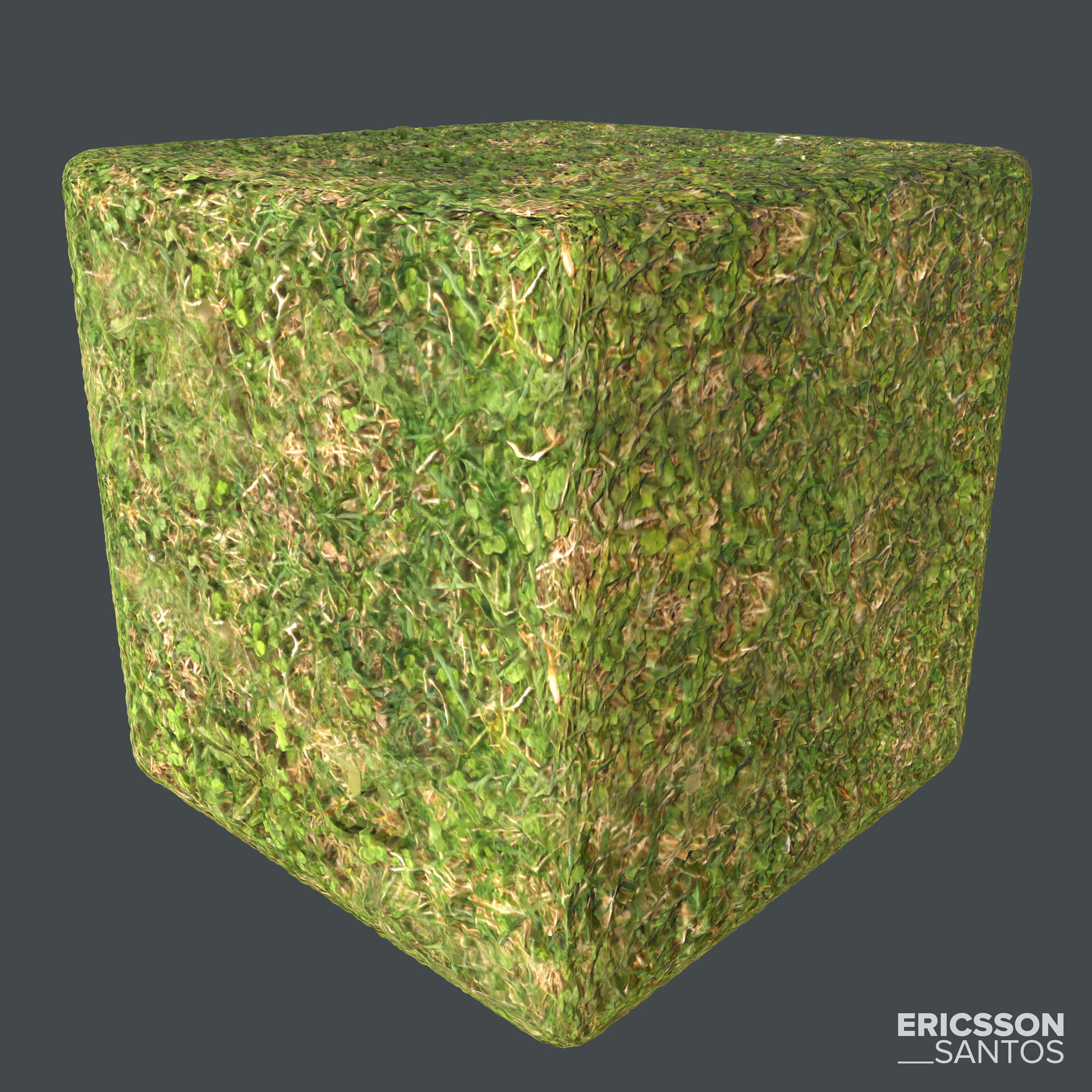 Ericsson Santos Grass Photogrammetry Based Environment Texture