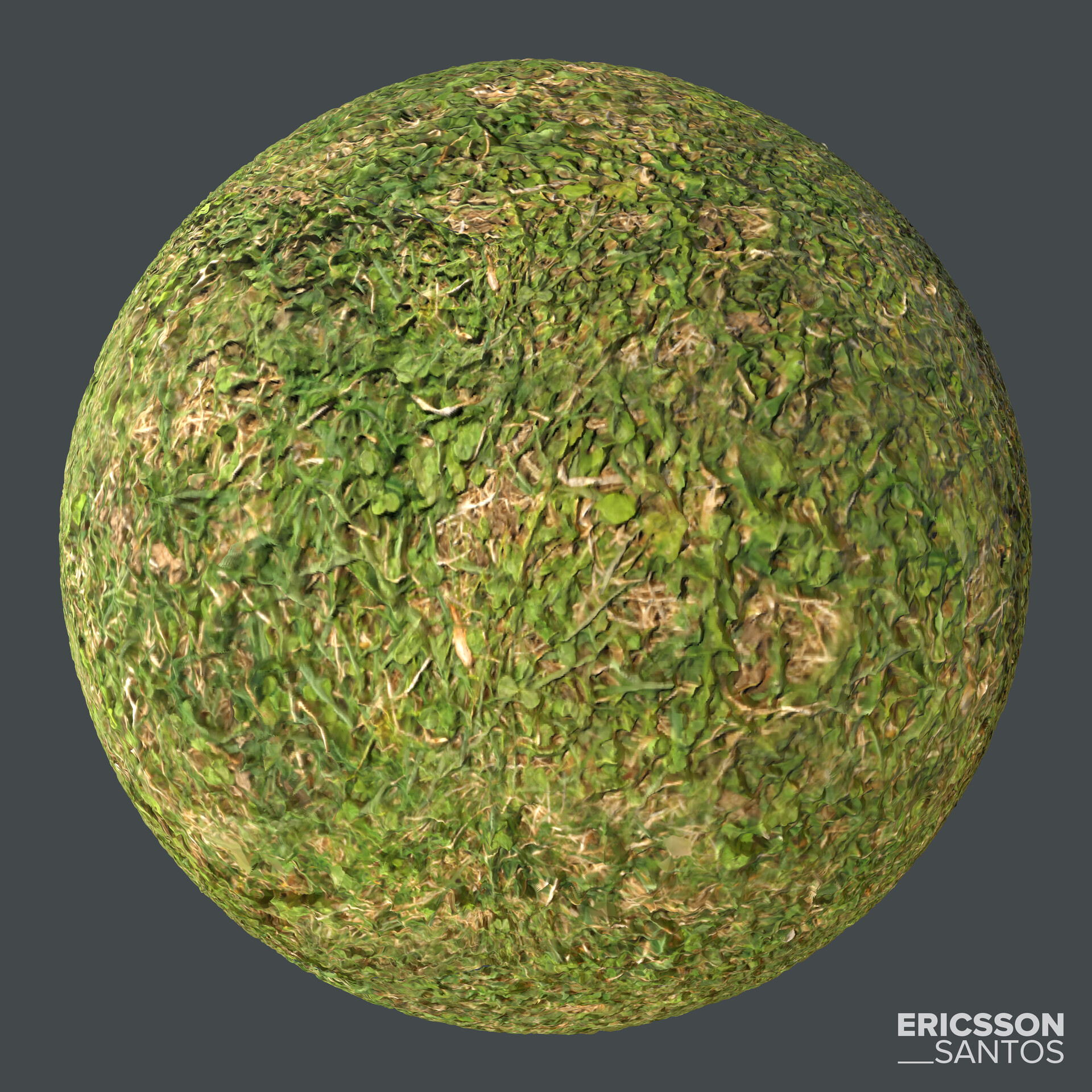 ArtStation - Grass - Photogrammetry-based Environment Texture