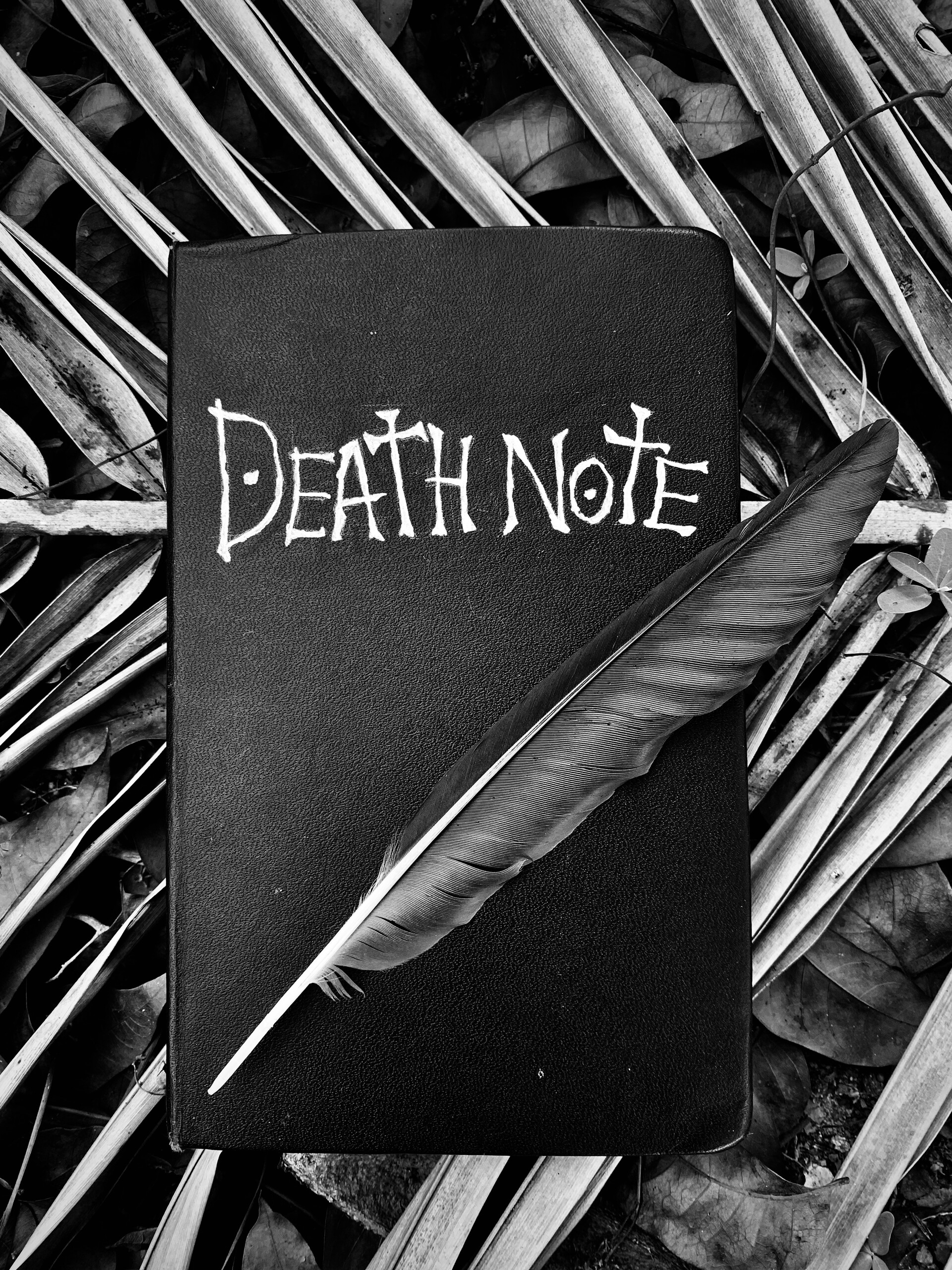 Death Note Notebook Wallpaper