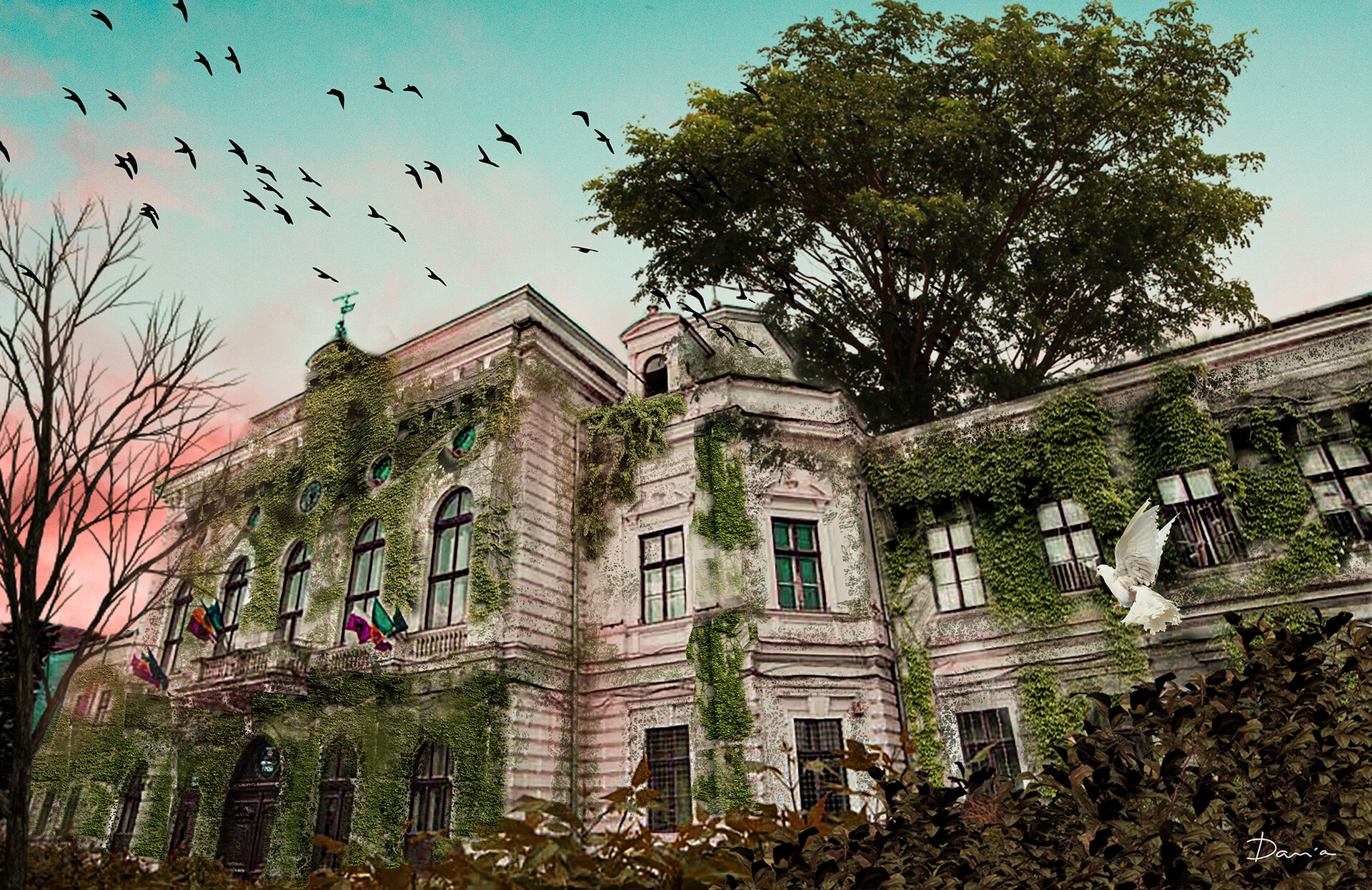 Daria Rusu - quarantine vibes