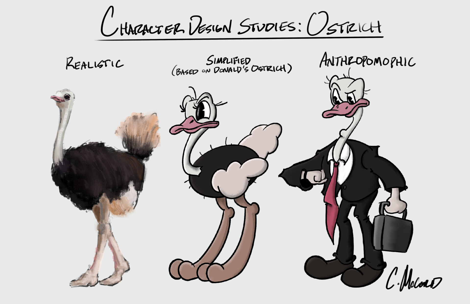 ArtStation - Character Design Studies: OSTRICH