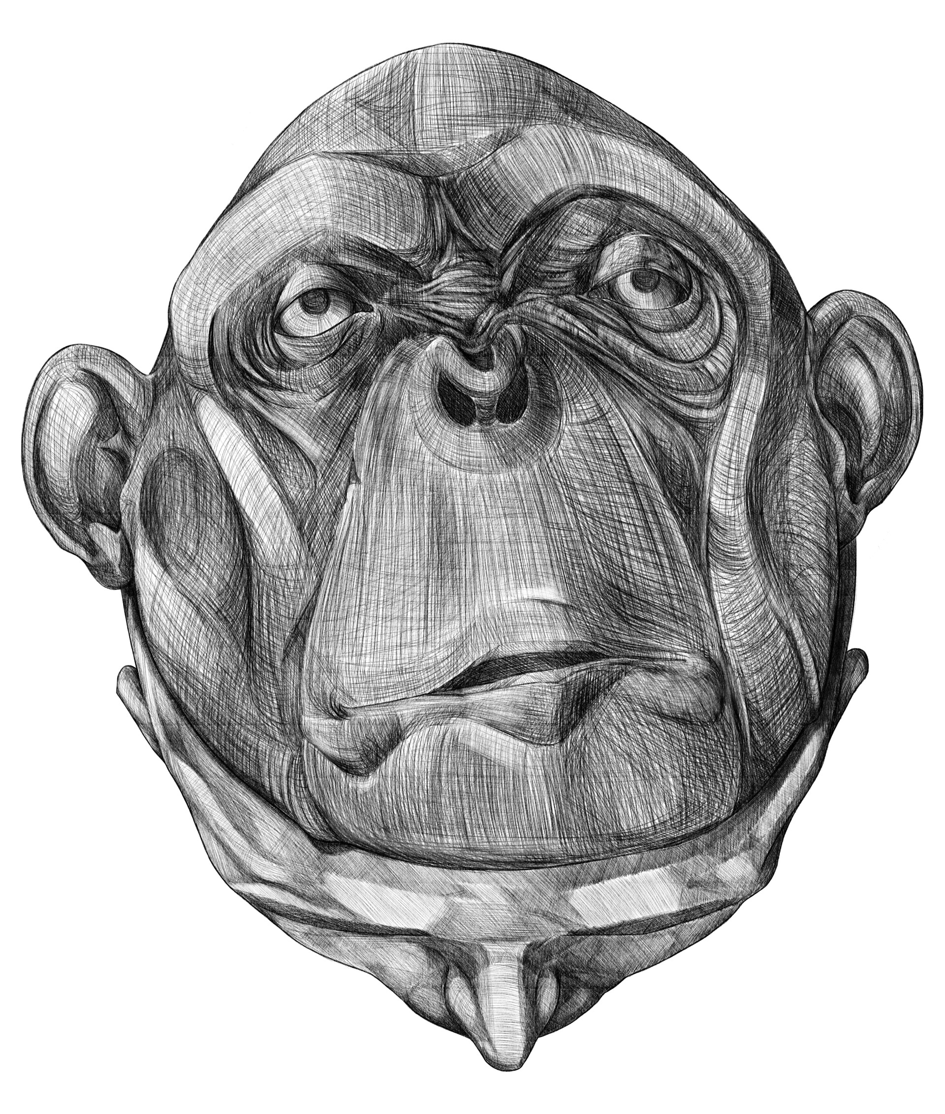 ArtStation - Monkey mind