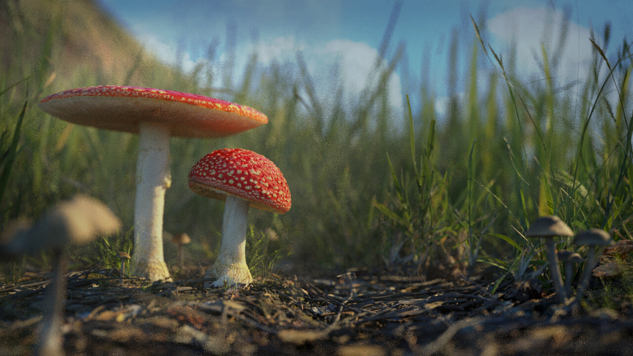 ArtStation - Micro Mushroom Scene