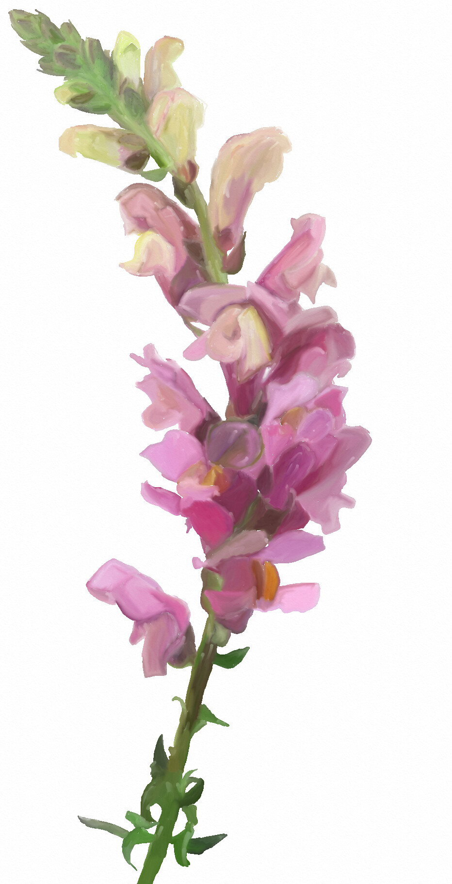 ArtStation - Snap Dragons