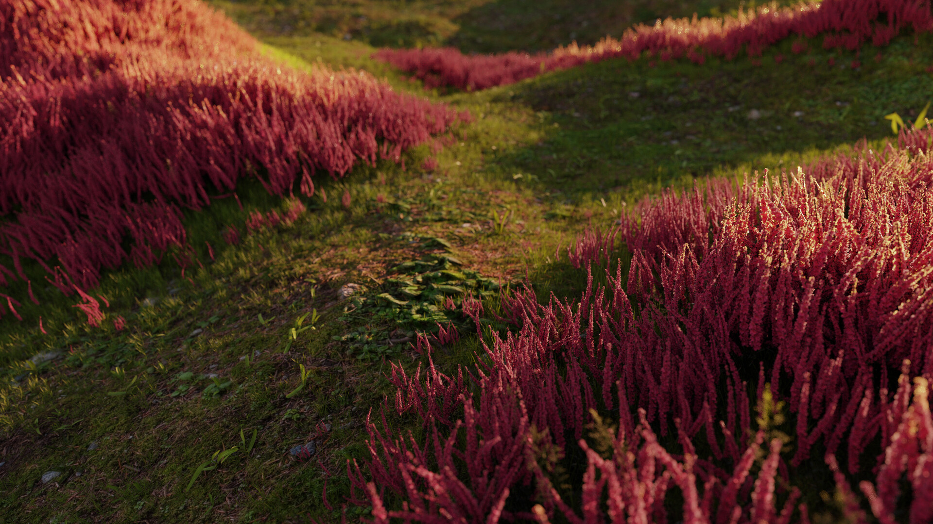 ArtStation - Heath Landscape