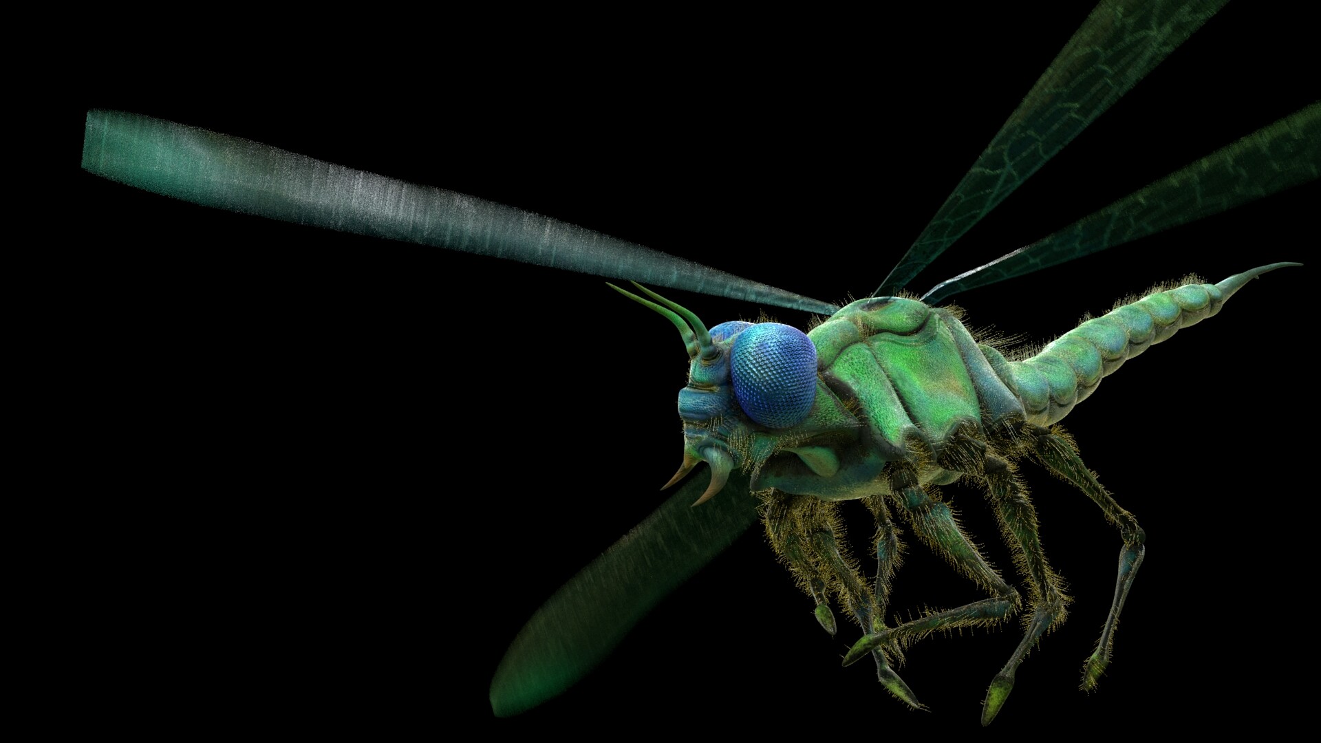 ArtStation - Meganeura