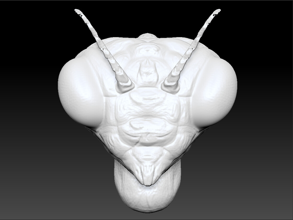 ArtStation - Mantis Head
