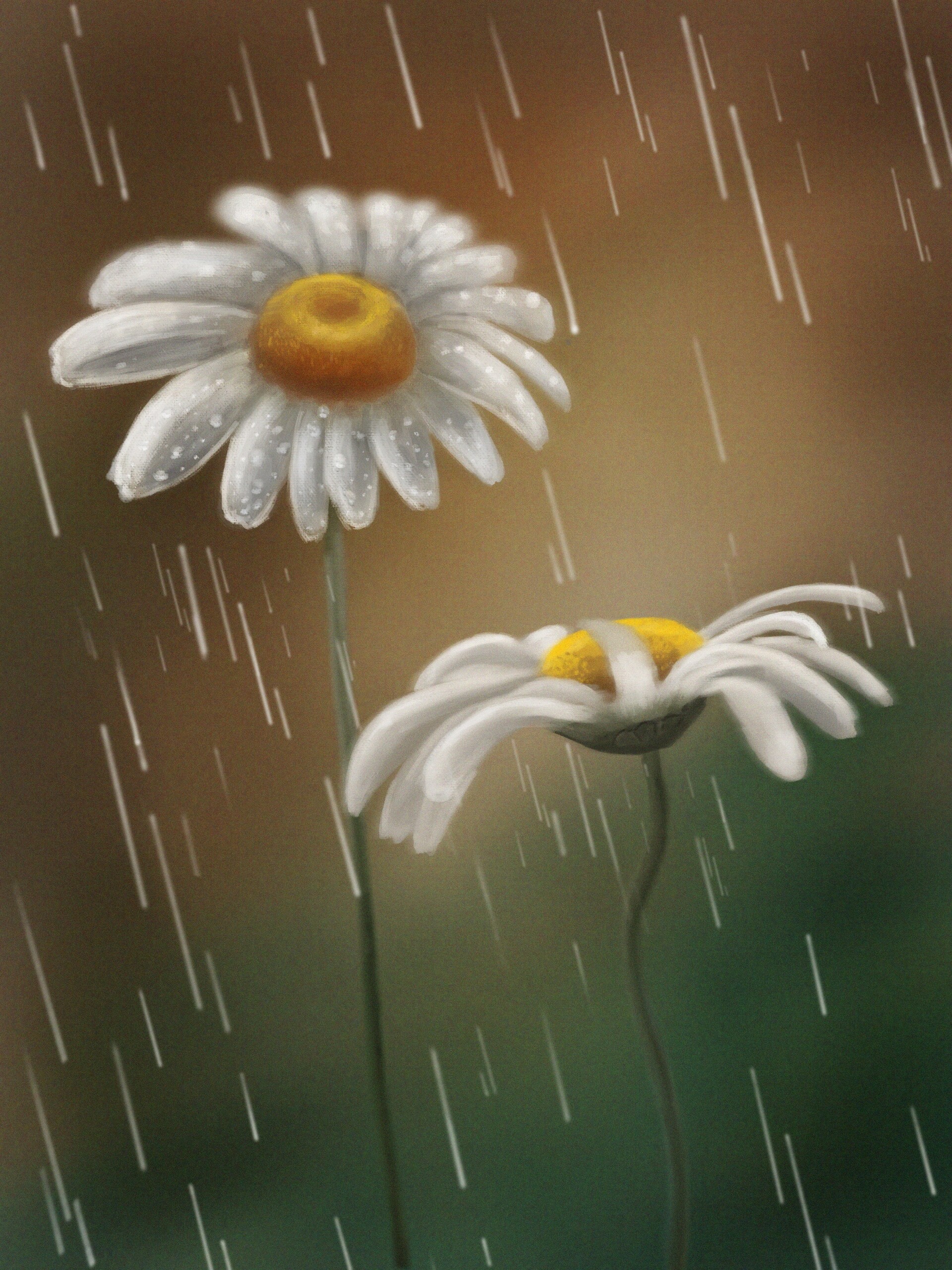 ArtStation - Flowers #1 - Daisies under the rain