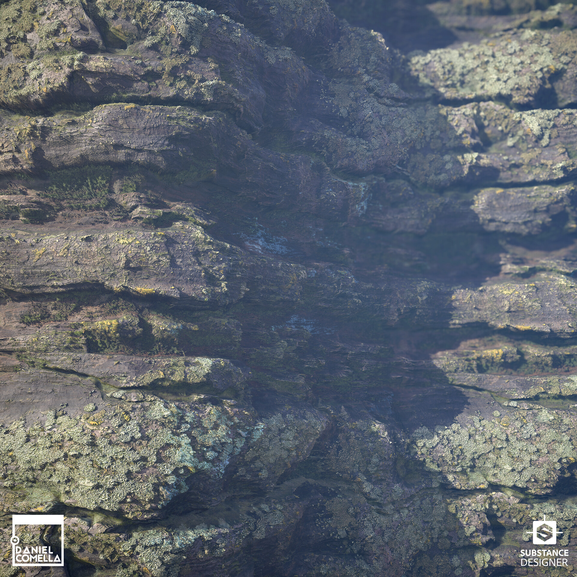 Daniel Comella Portfolio - Layered Lichen Cliff