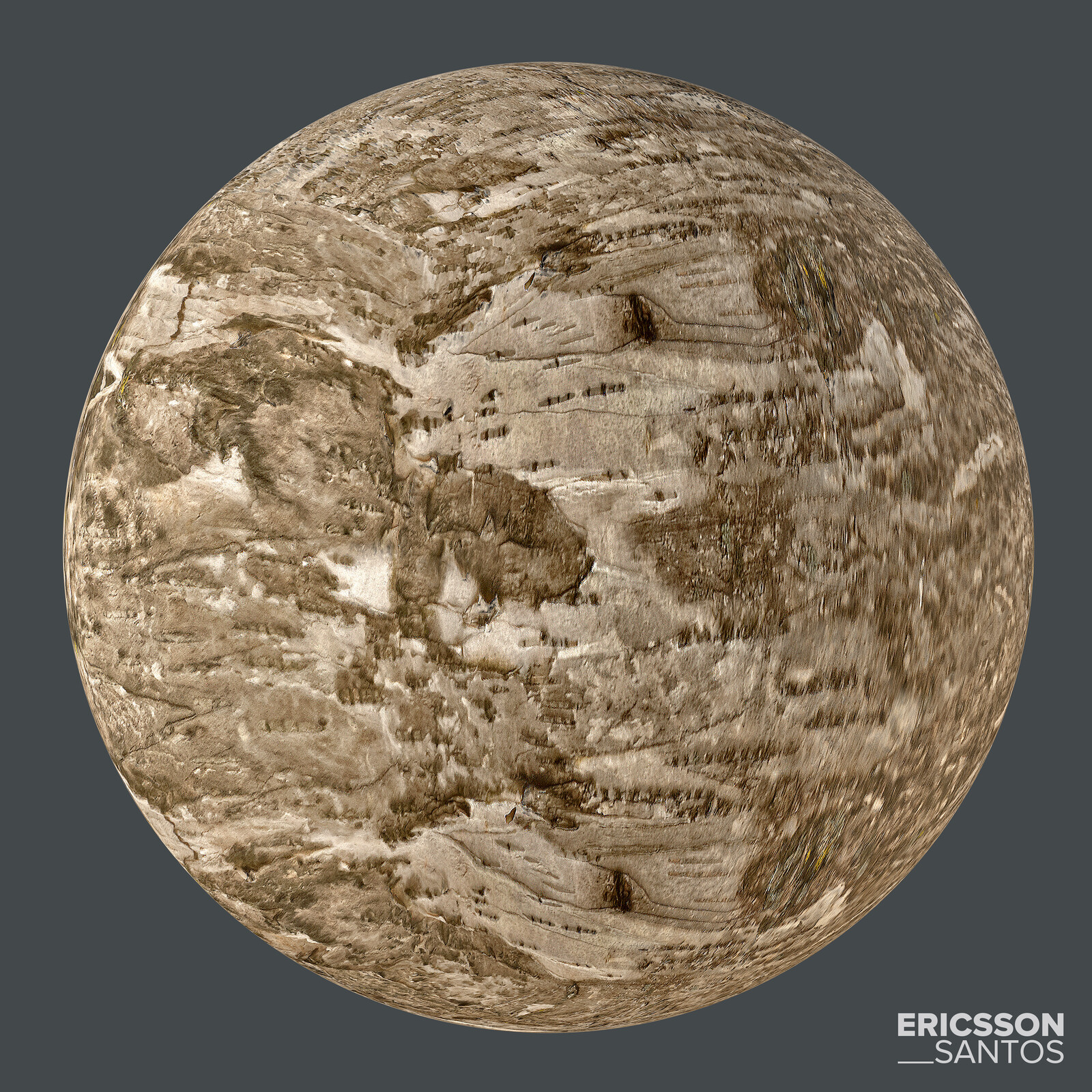 Ericsson Santos - Bark Tree 002 - Photogrammetry-based Environment Texture