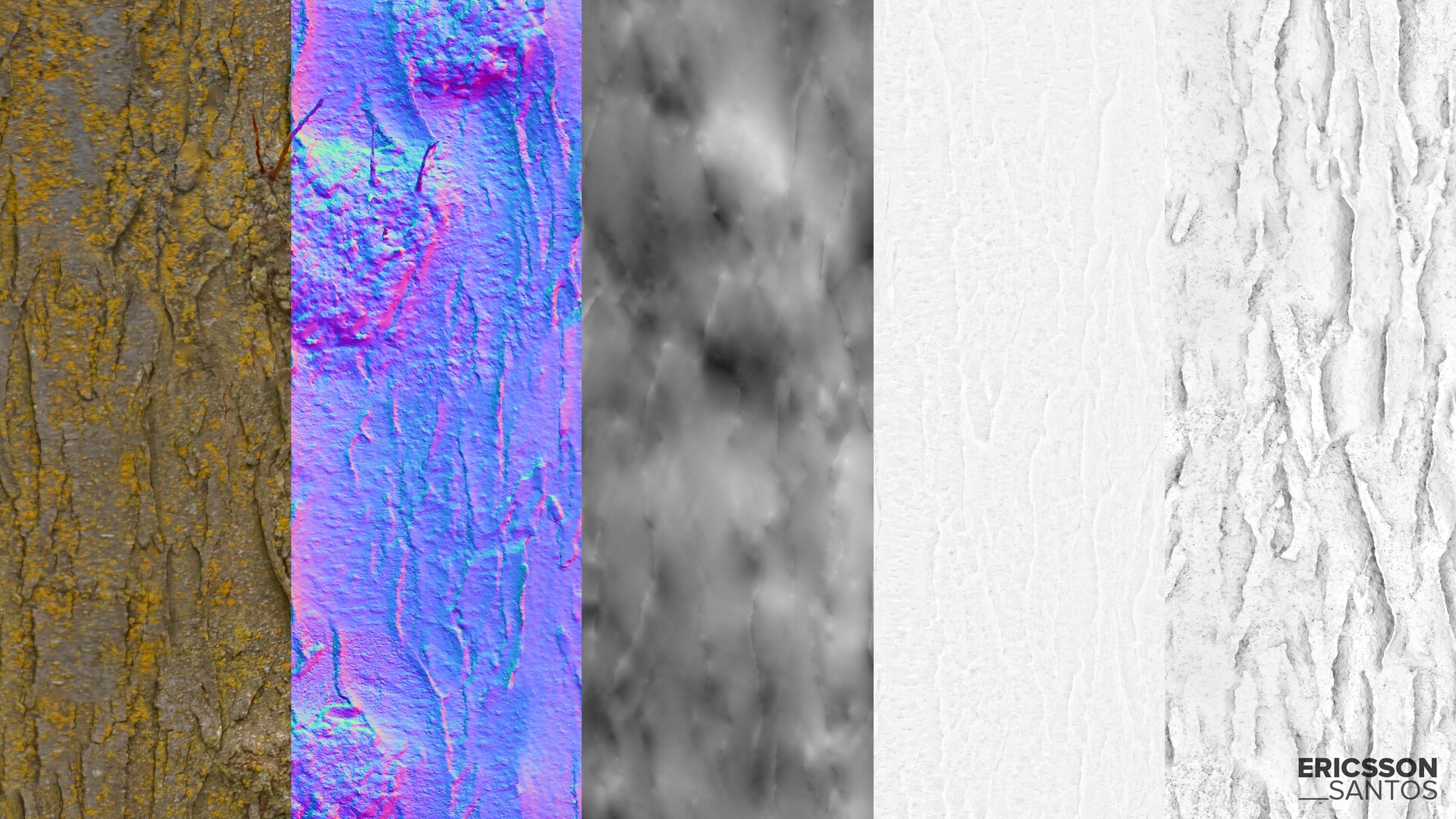 Ericsson Santos - Bark Tree 003 - Photogrammetry-based Environment Texture