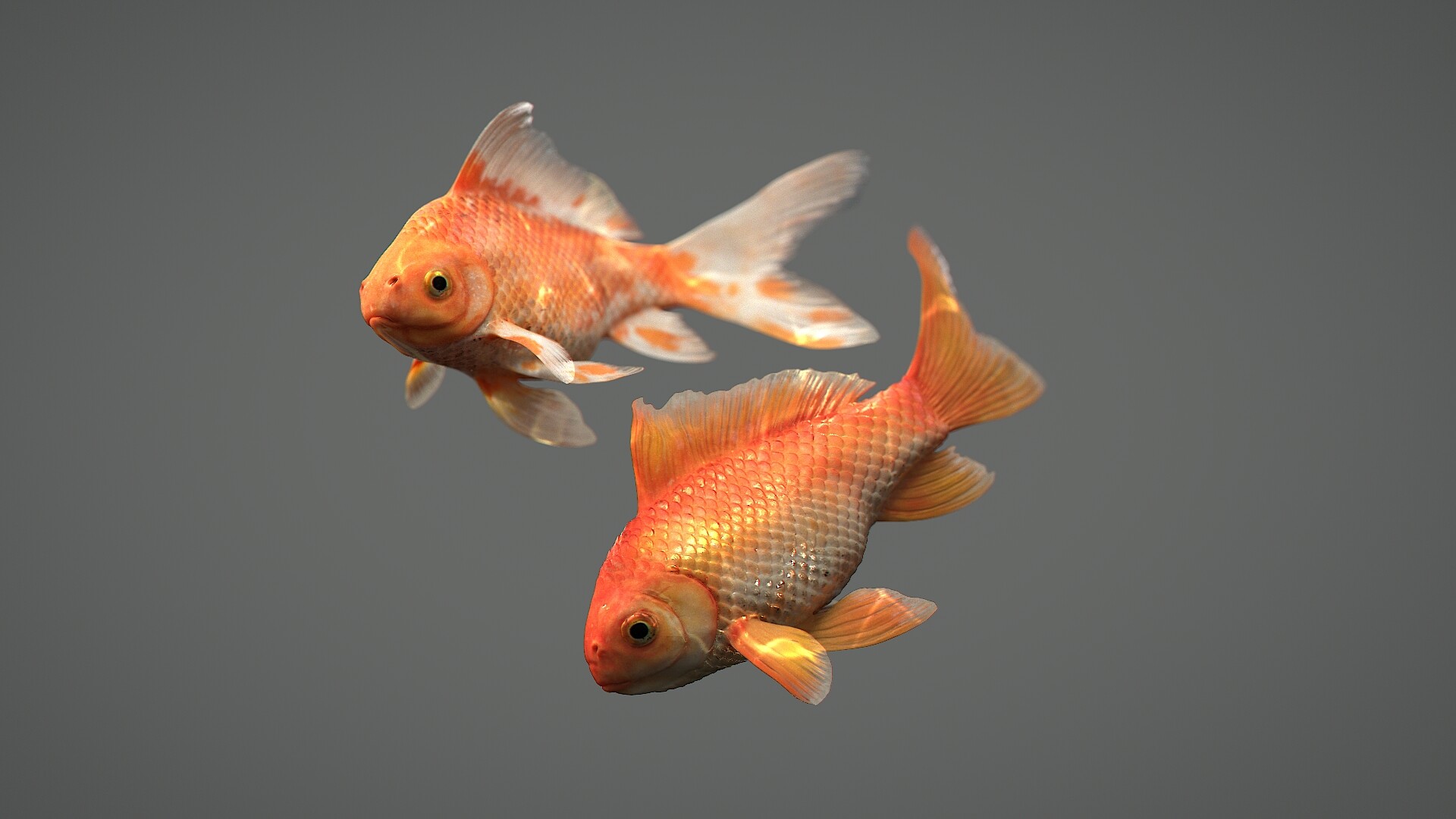 ArtStation - Goldfish Texturing (& Mari process video)