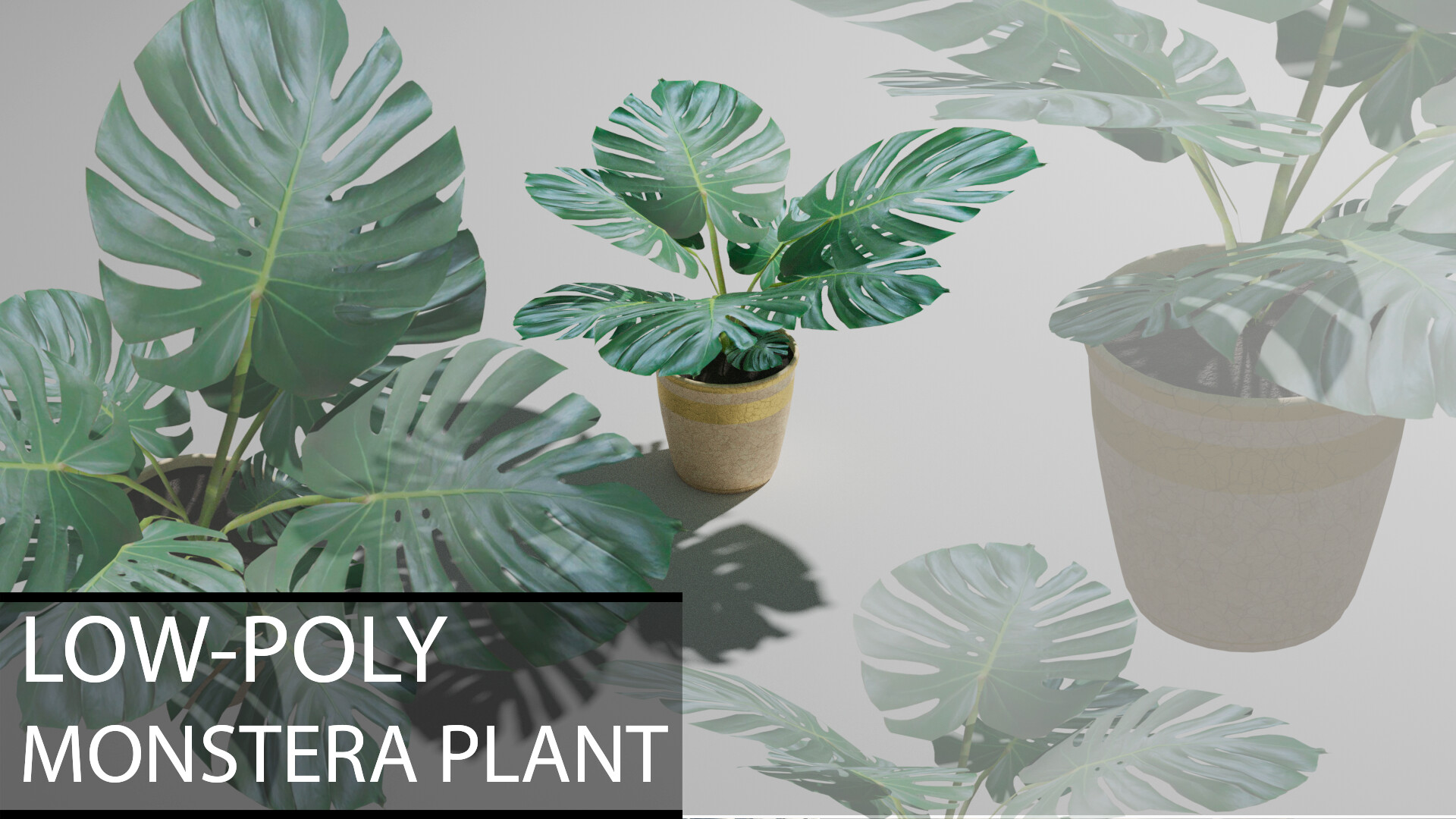 ArtStation - Monstera Plant Low-poly 3D model