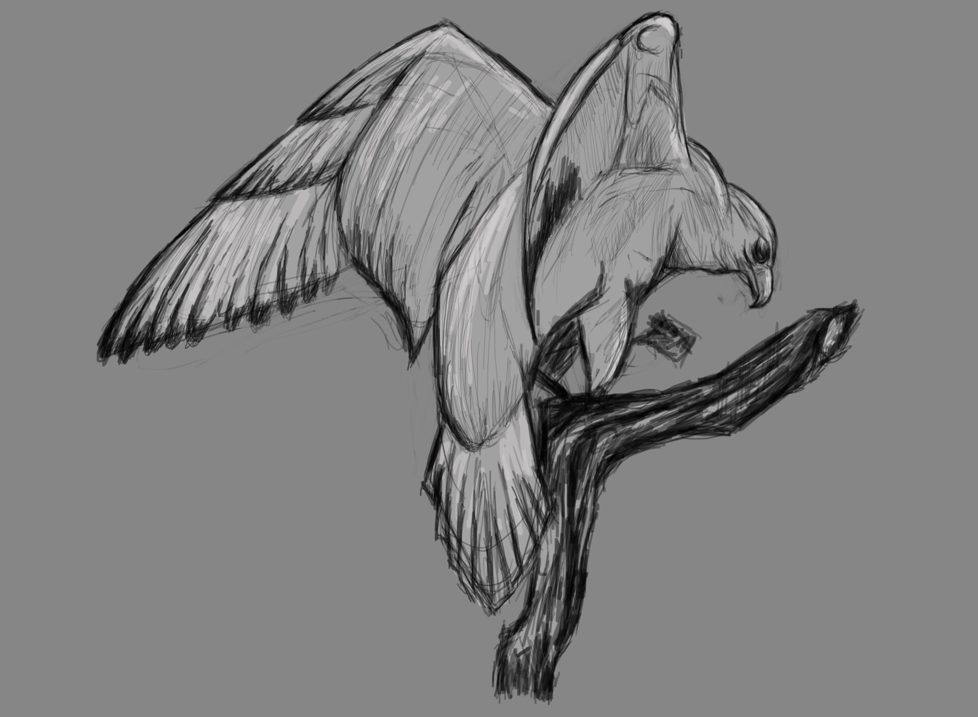 ArtStation - digital sketch practice