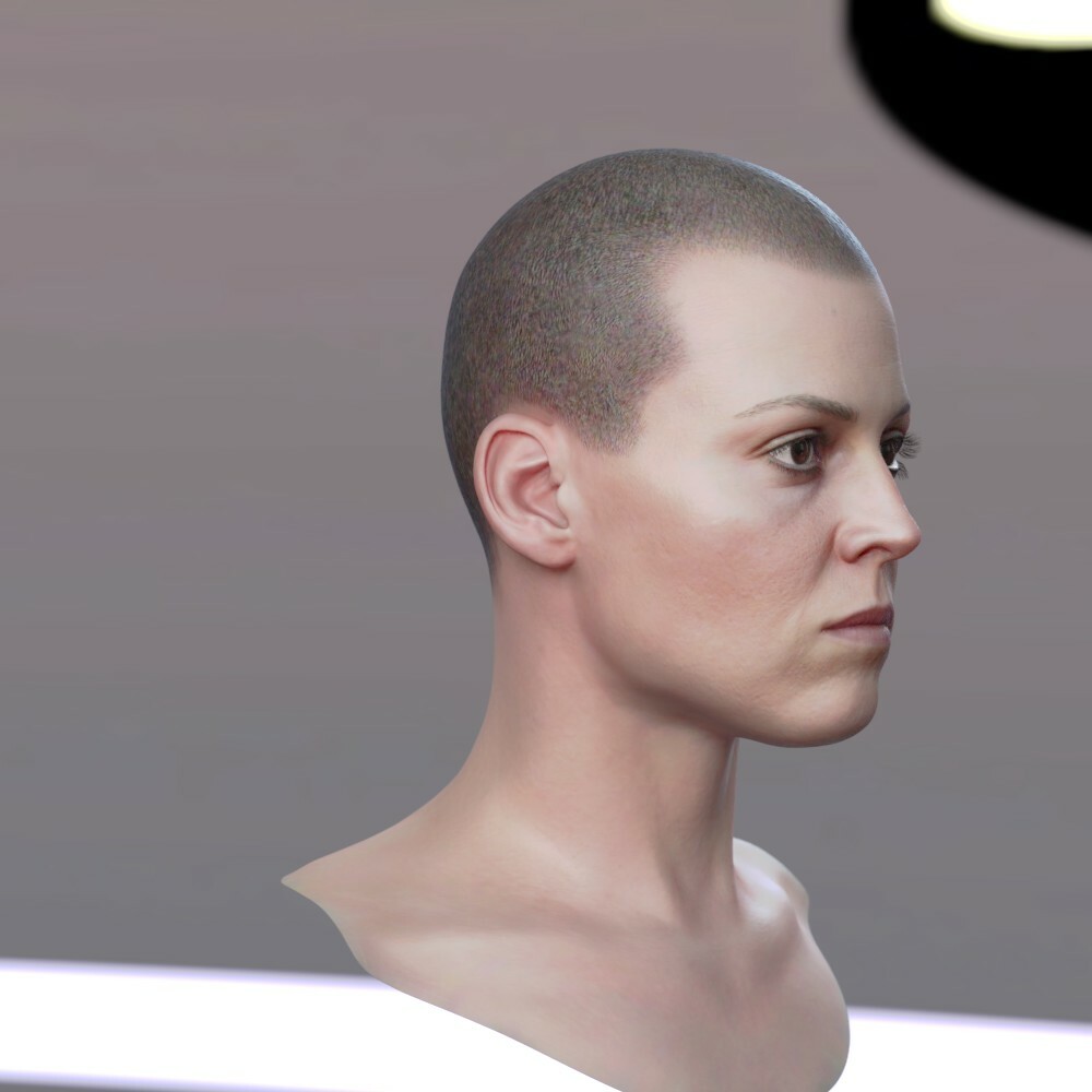 Ellen Ripley Bald Ripley In Alien 3 By İlhan Yılmaz. More At:
