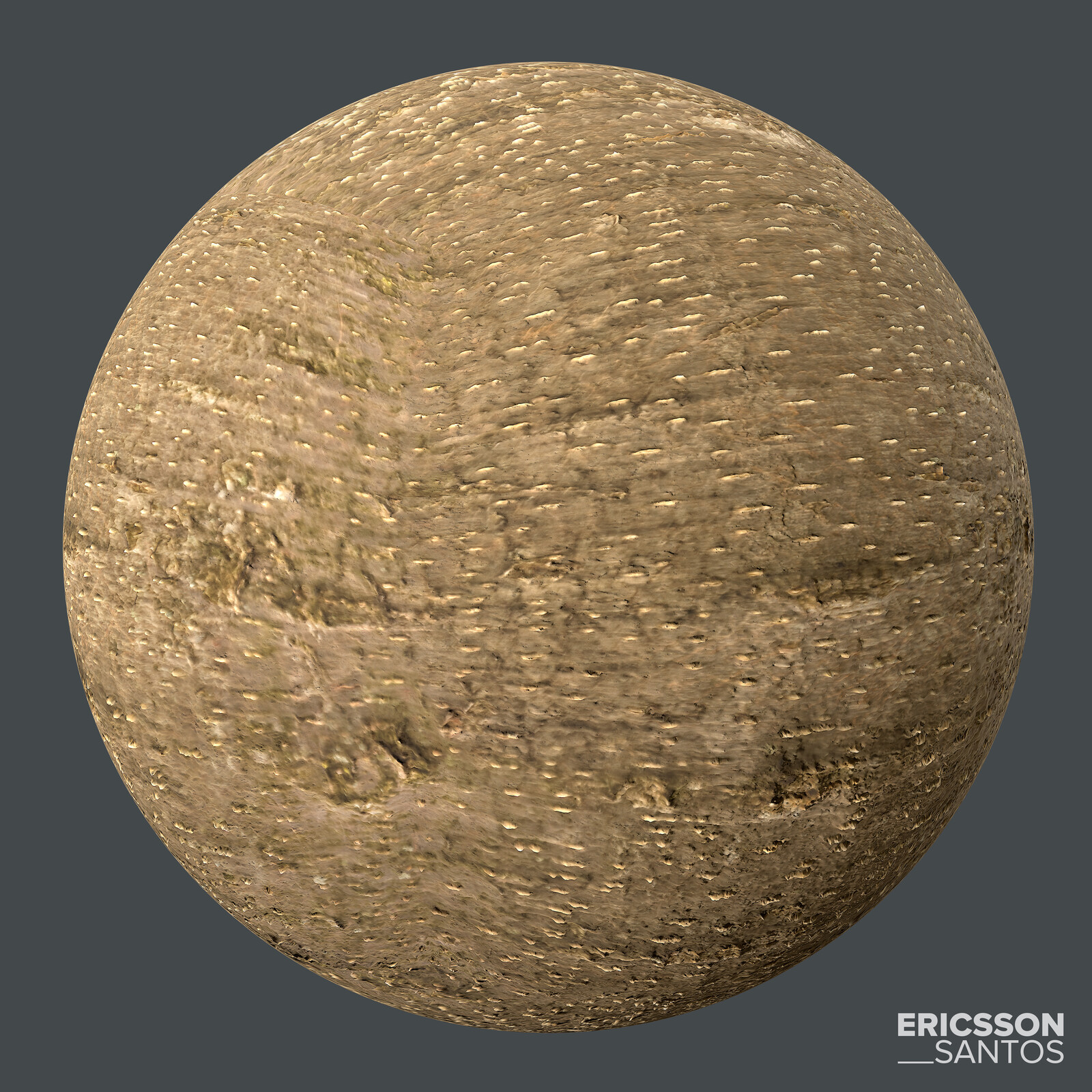 Ericsson Santos - Bark Tree 004 - Photogrammetry-based Environment Texture