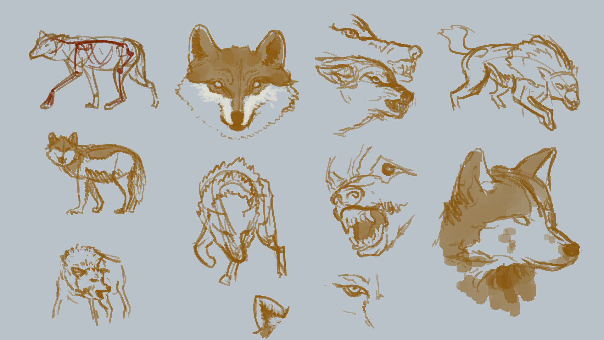 Pitta - DnD wolfen spirit