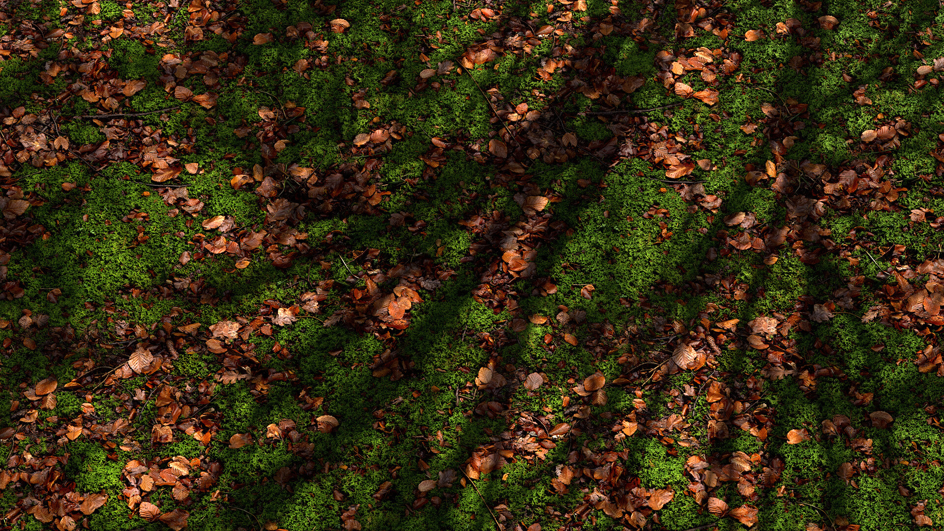 3D Scanned Textures - Natural Ground Textures | Photoscanned