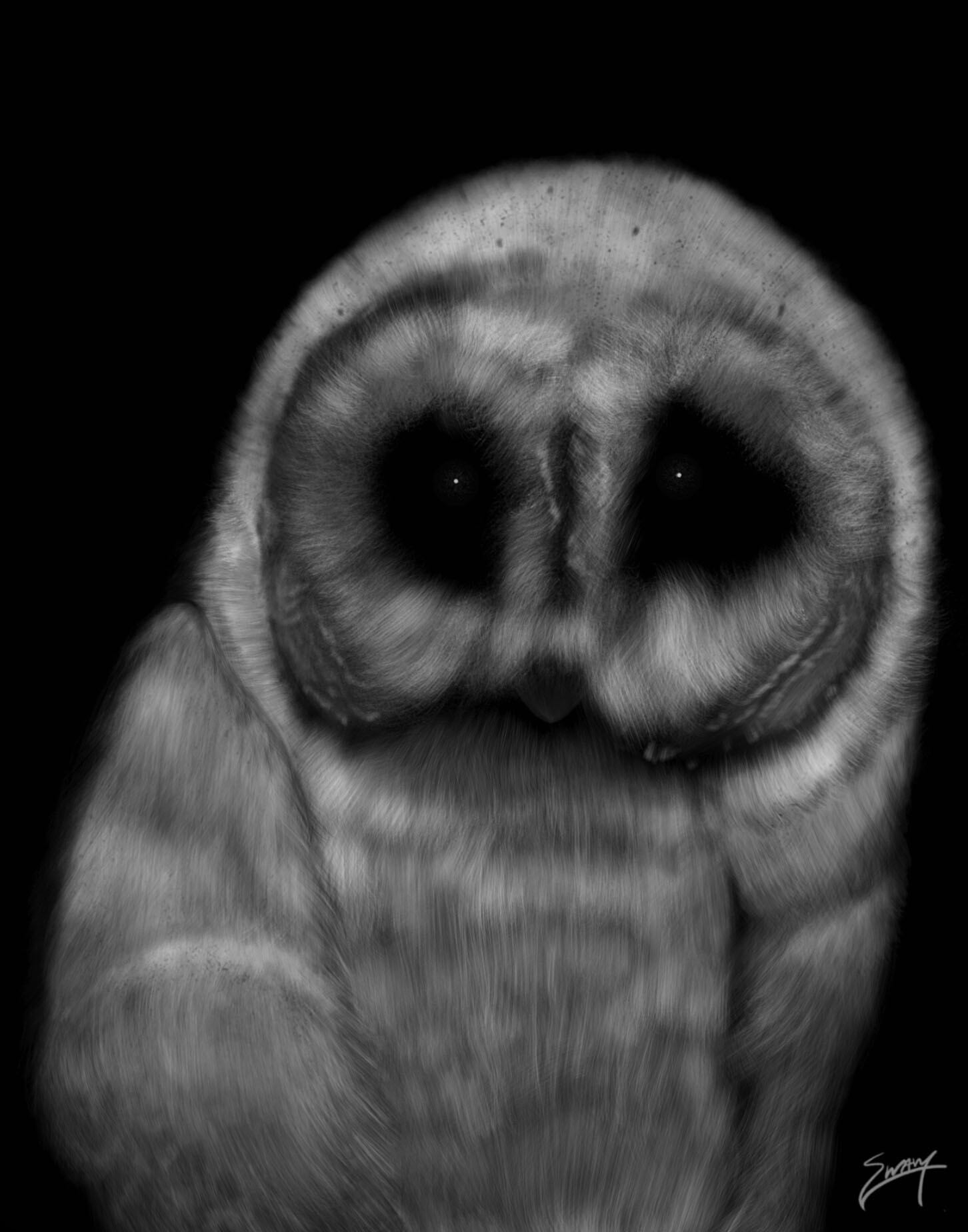 ArtStation - Night Stalker