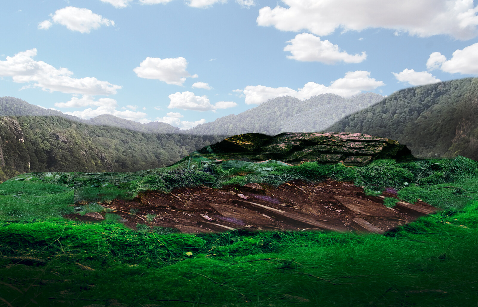 Justin Frey - Forest Crash