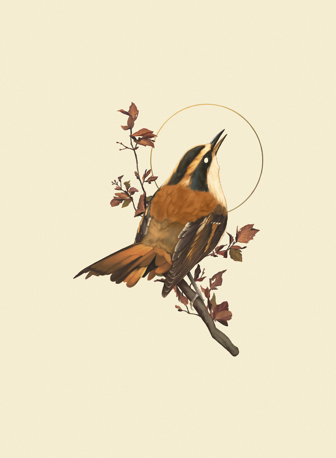 Mootium - Flora and Fauna